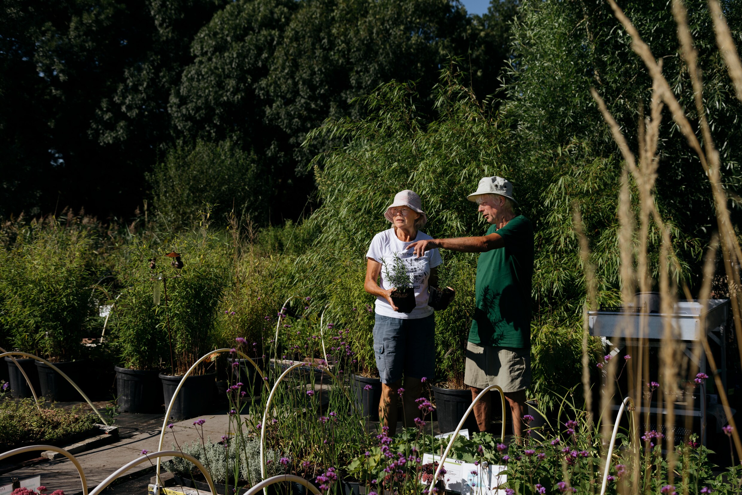 Zij hebben een kwekerij in Amsterdam: ‘Ik ben helemaal gek op deze ...