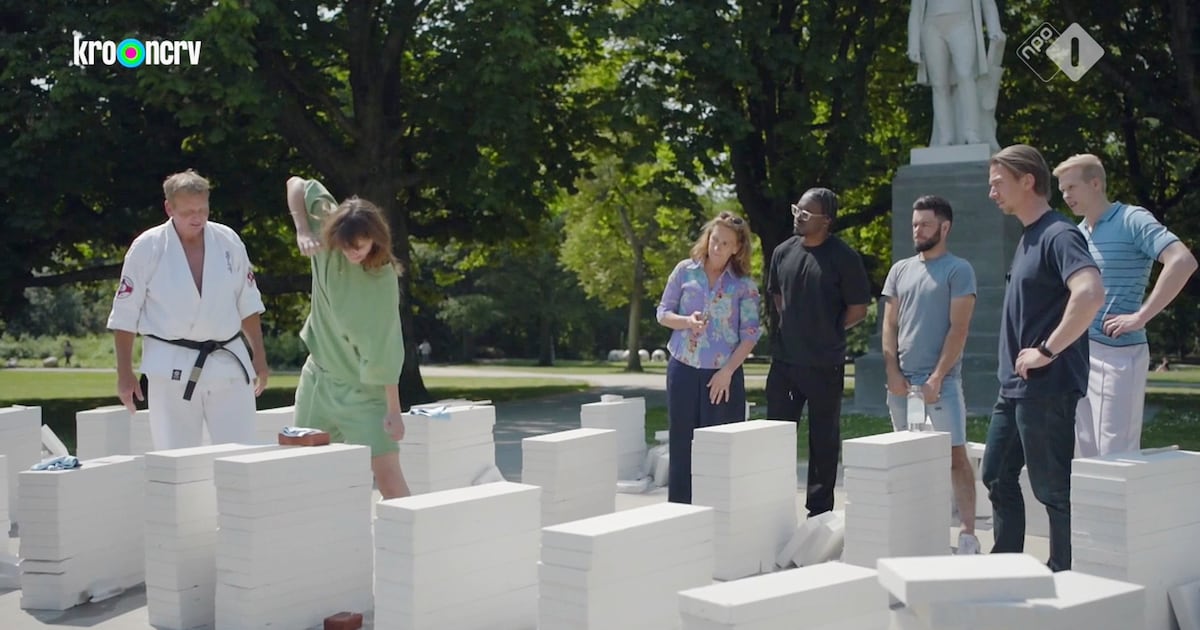 Het fel bekritiseerde Biohack Project verschrompelde tot pretentieloos ...