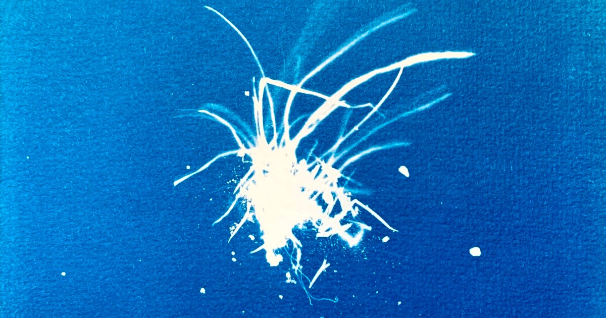 Kunstenaar Anne Geene maakte een lofrede op de grassen van Amsterdam ...