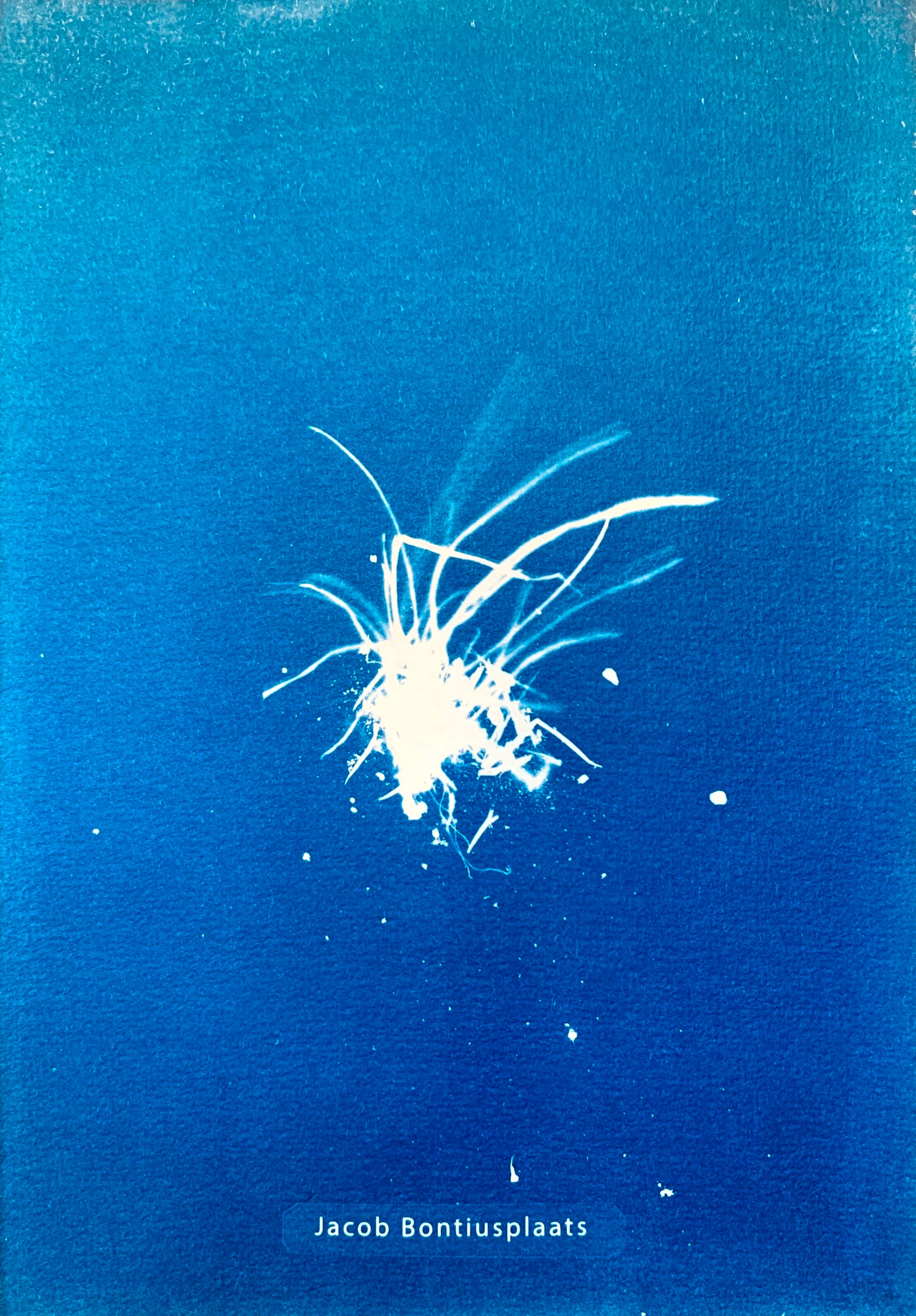 Kunstenaar Anne Geene maakte een lofrede op de grassen van Amsterdam ...