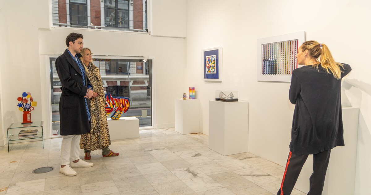 Je hoeft geen getraind oog voor kunst te hebben om binnen te stappen ...