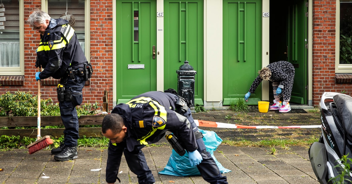 8 jaar cel en tbs geëist voor dodelijke steekpartij Hazelaarstraat in ... 8 jaar cel en tbs geëist voor dodelijke steekpartij Hazelaarstraat in ...
