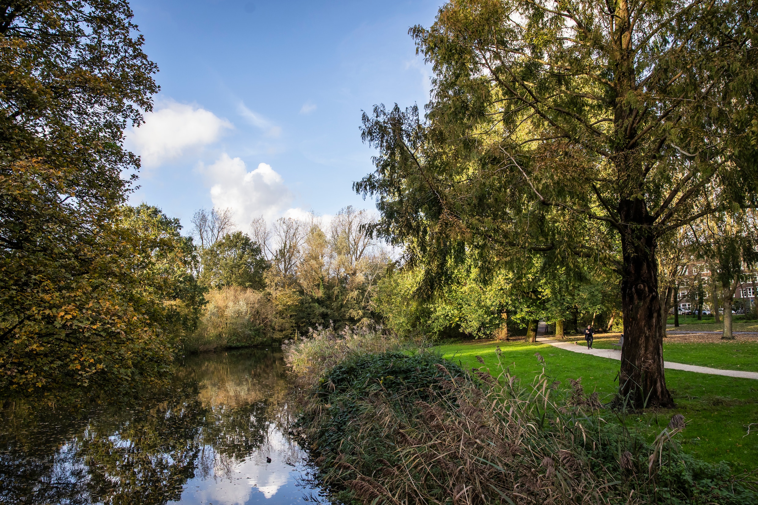 Het Amsterdamse Rembrandtpark bestaat 50 jaar – maar had ook decennia ...