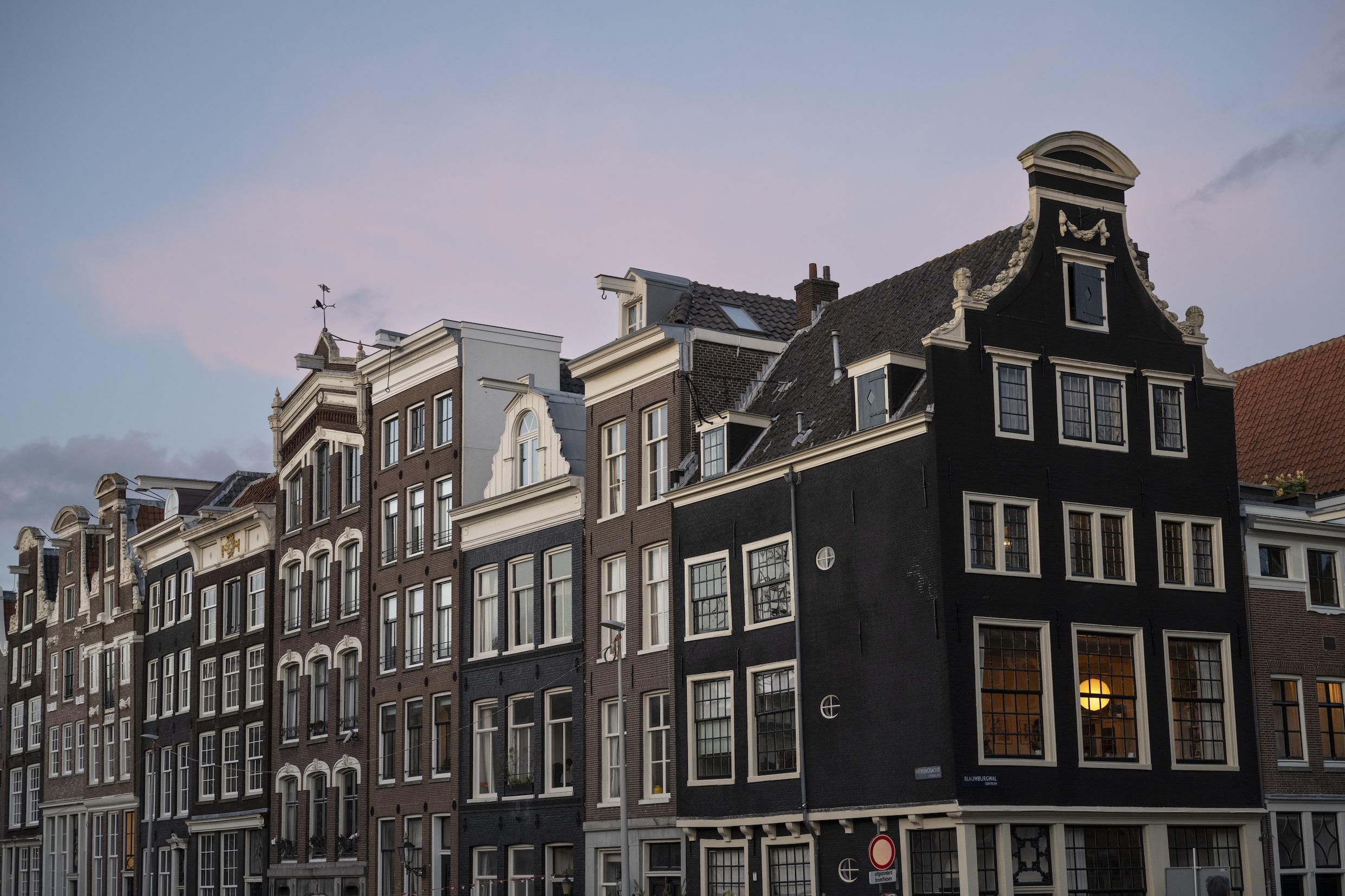 Strijd rond klimplanten in de binnenstad van Amsterdam: ‘Kan ernstige ...