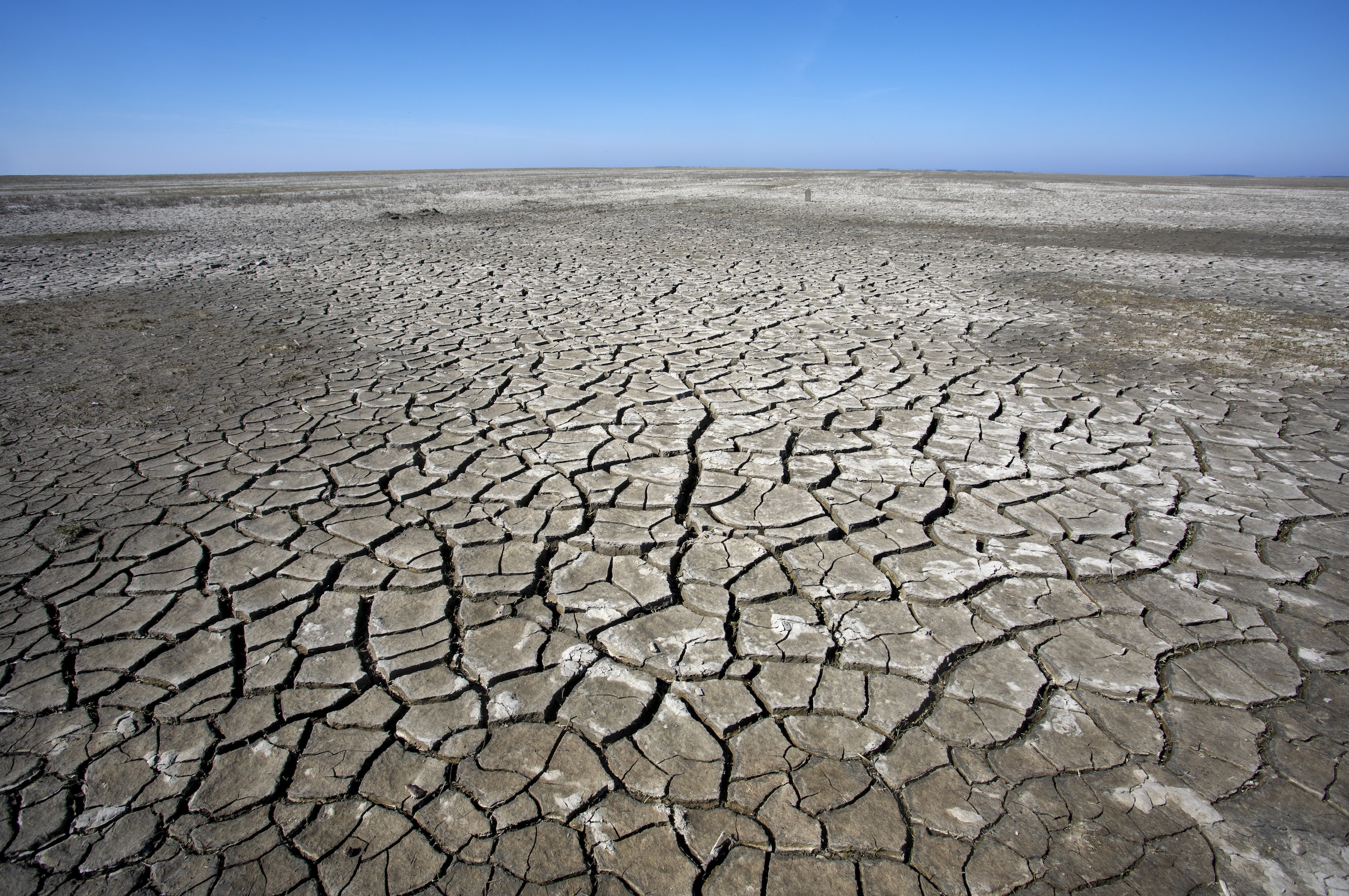 Rapport: verzilting acuter probleem dan stijgende zeespiegel | Het Parool