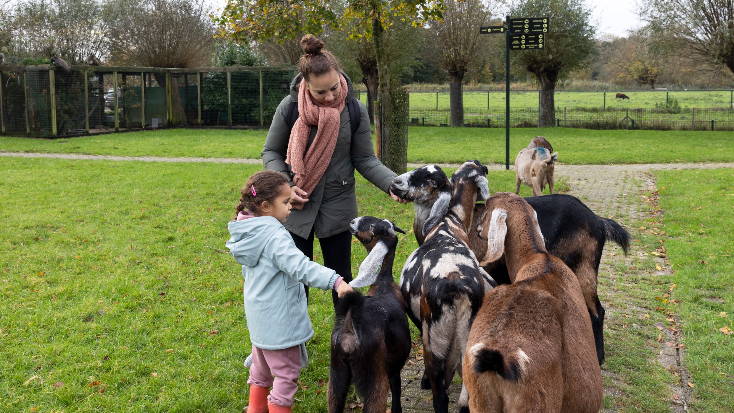 6 bijzondere kinderboerderijen in en om Amsterdam om met je kinderen af te vinken | Het Parool