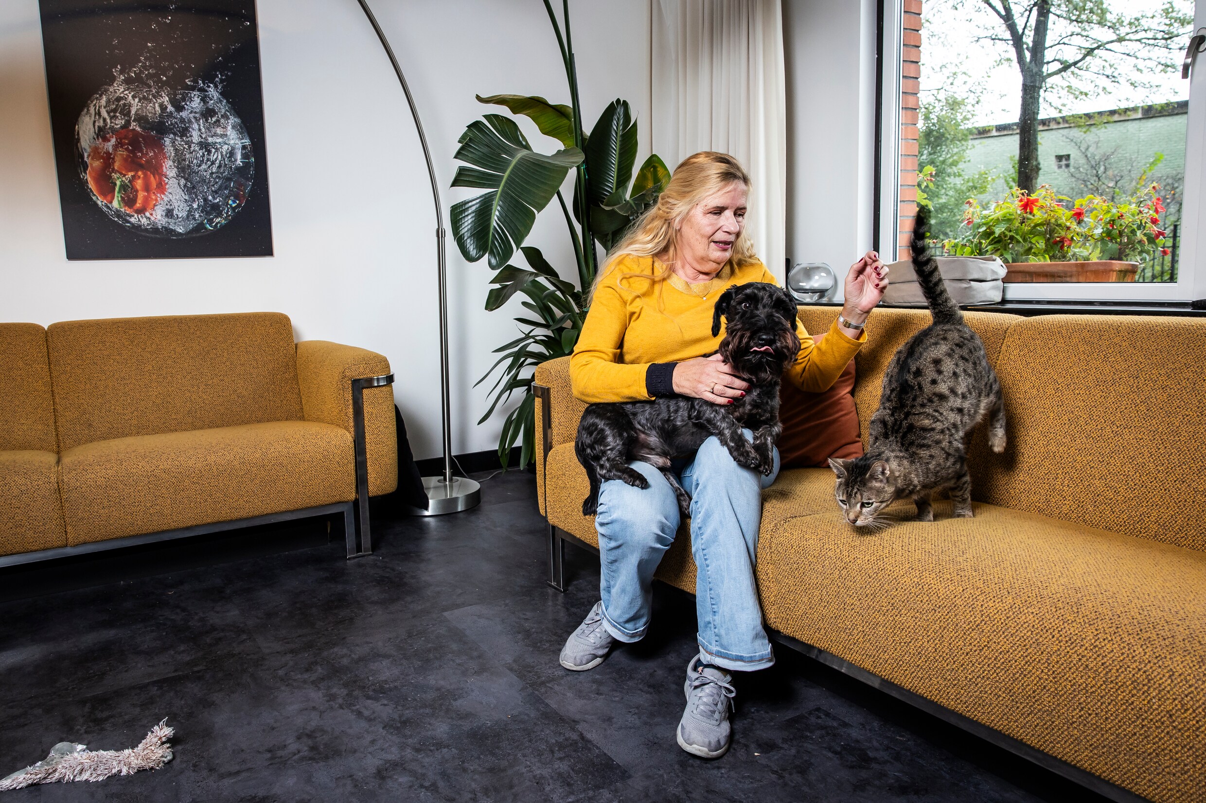 Deze dierentolk praat met honden, katten en vogels: ‘Ik zal er nooit ...