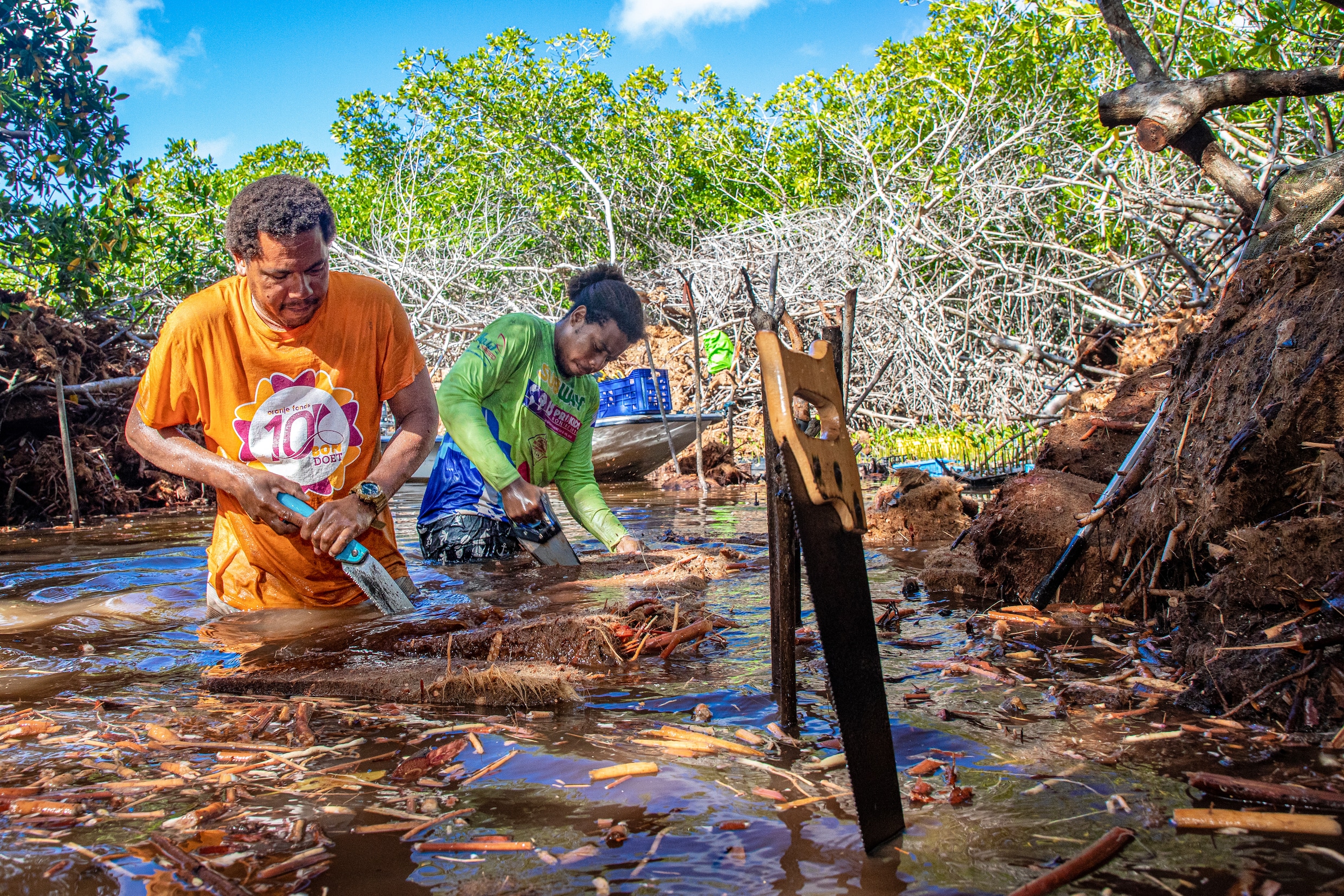 Waarom mangrovebossen een van de beste antwoorden zijn op ...