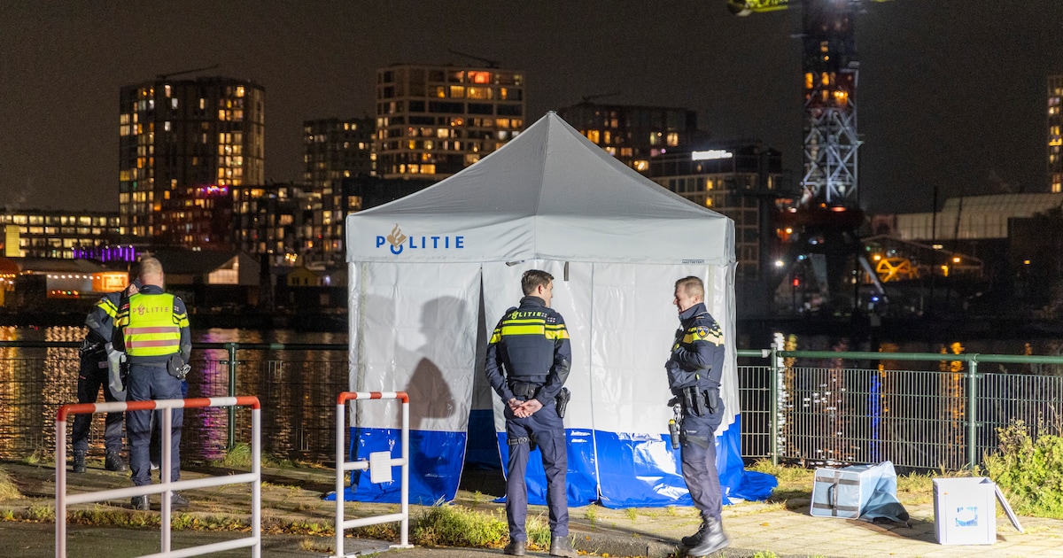 Tbs geadviseerd voor Bas W., die verdacht wordt van het wurgen van ...