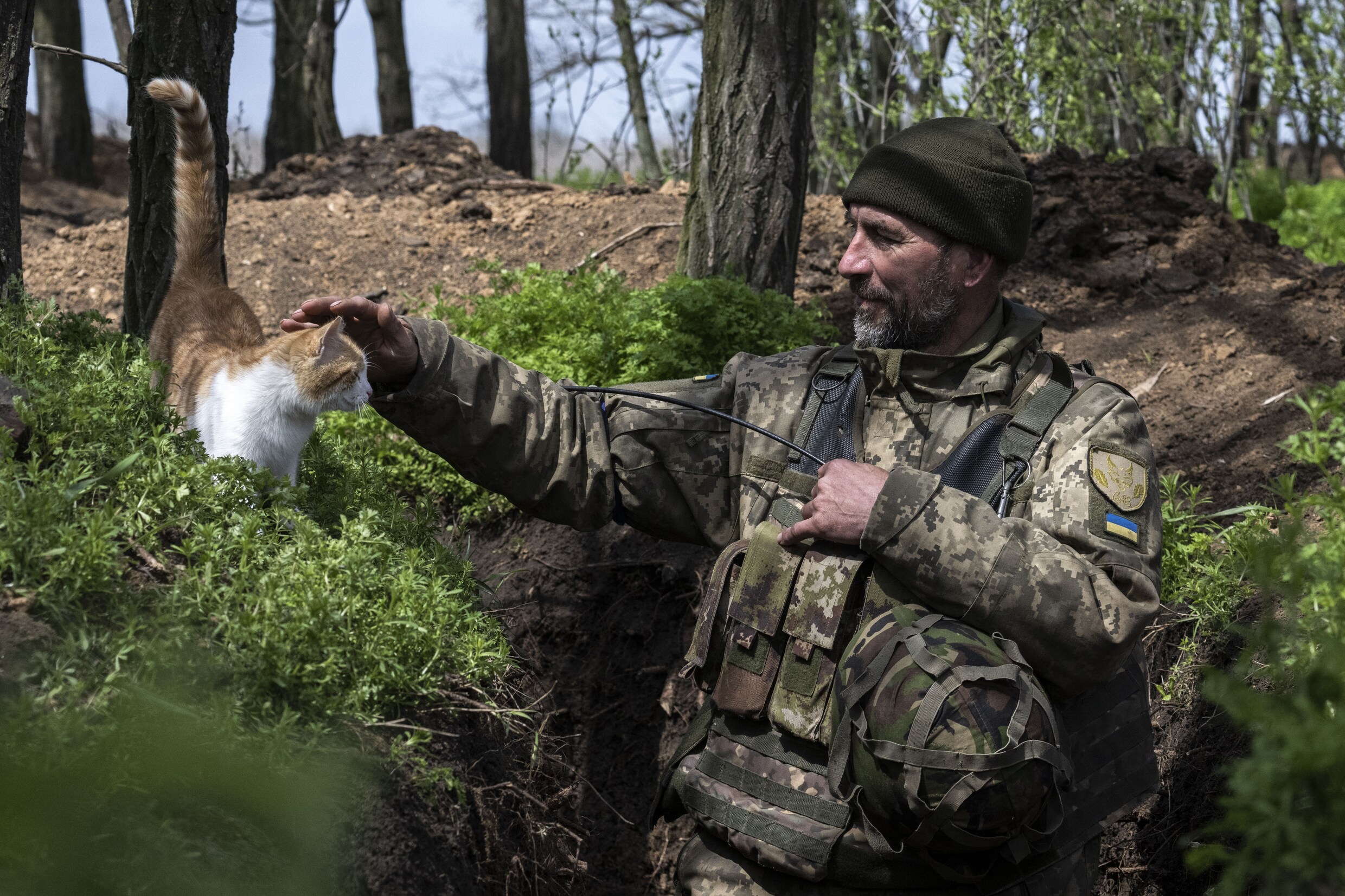Russische en Oekraïense soldaten koesteren katten in de loopgraven, in ...
