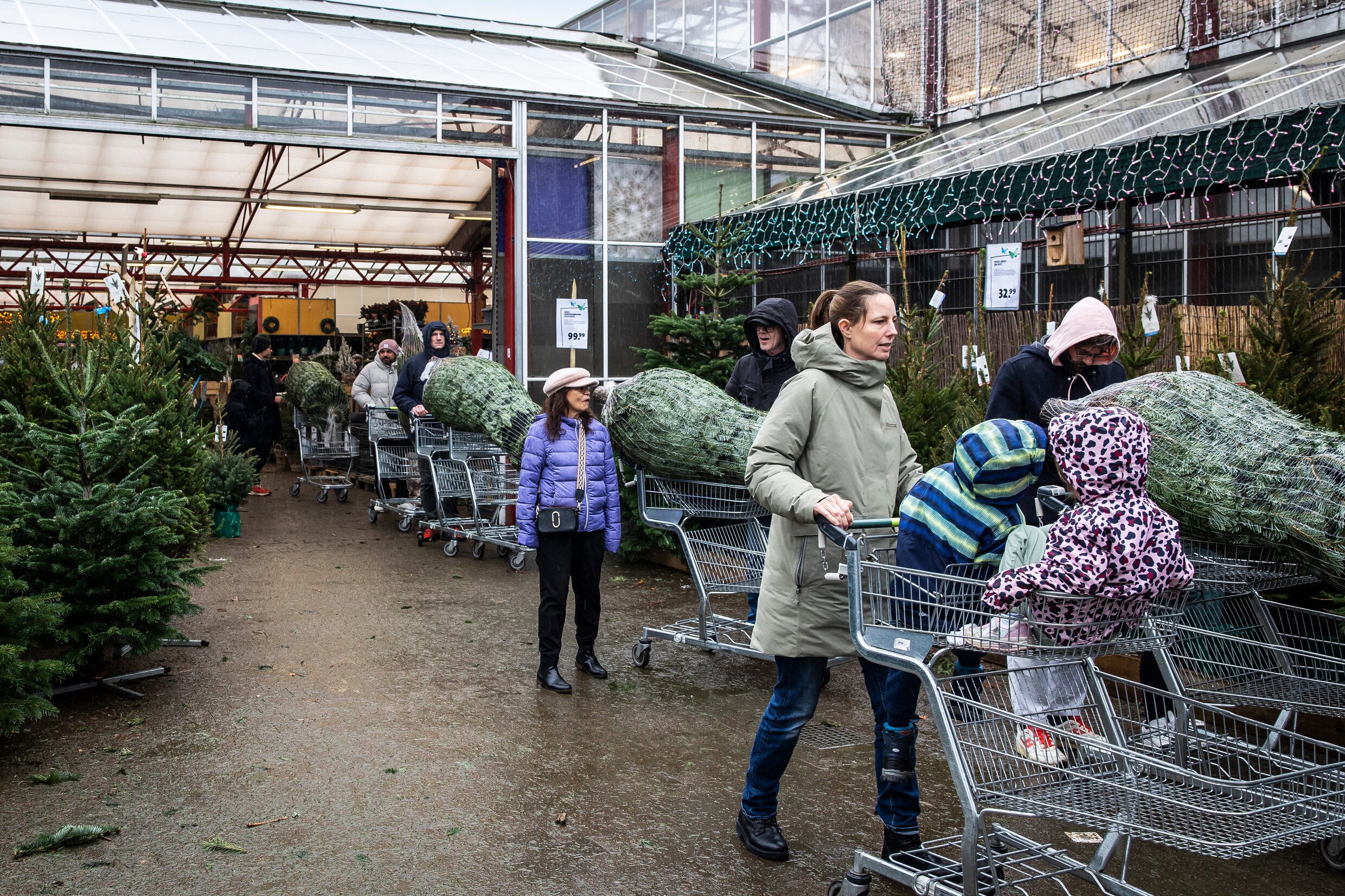 Inflatie of niet, op de kerstboom wordt niet bezuinigd: ‘Mensen waren al vroeg in kerststemming ...