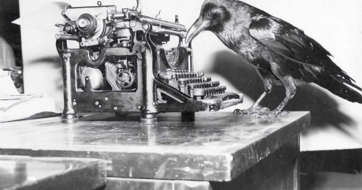 Jimmy de raaf hoort er in kerstfilm gewoon bij; we zitten allemaal in ...