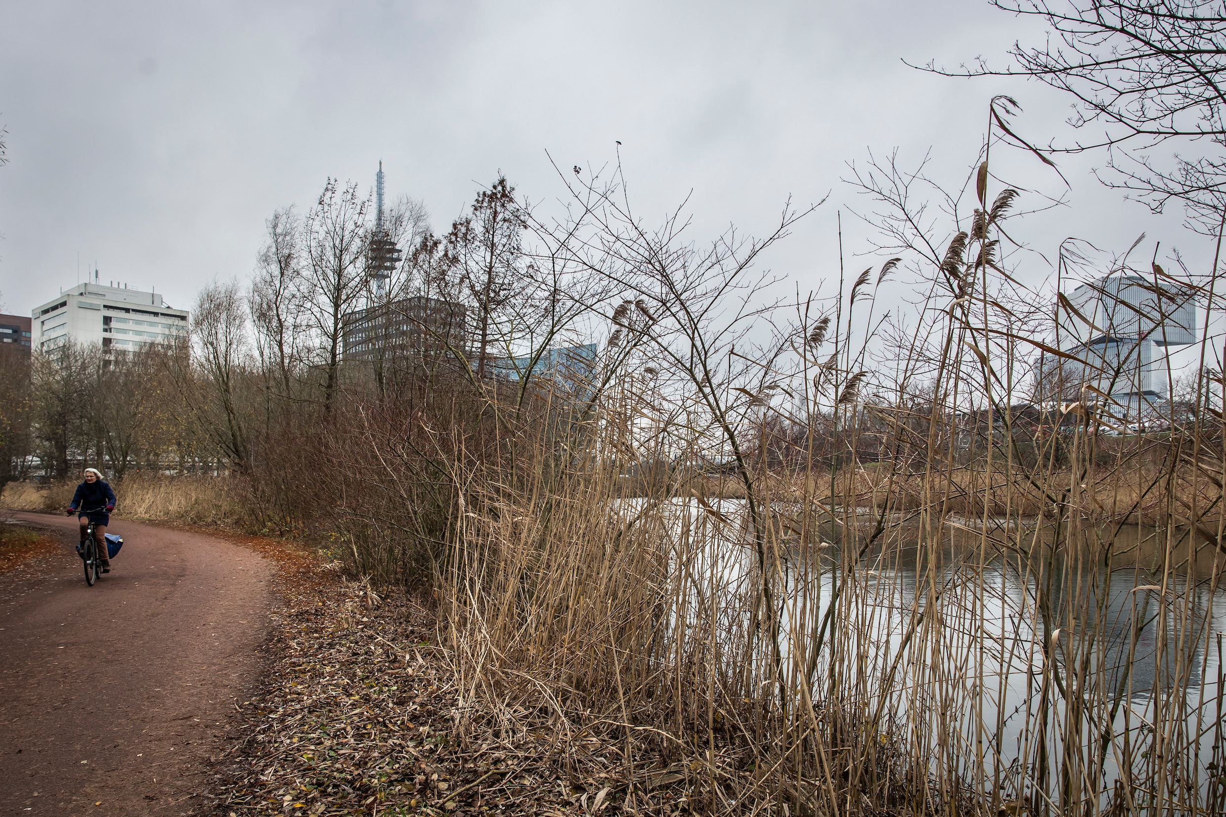 PvdA en GroenLinks steunen erotisch centrum in Zuid, D66 is iets voorzichtiger: ‘Het is een ...