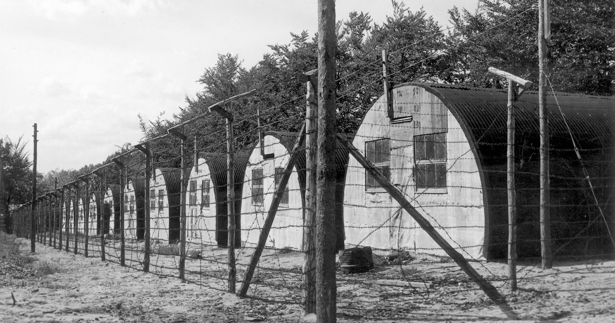Na de oorlog wilde het kabinet Duitsers het land uitzetten: ‘Wat als ik ...