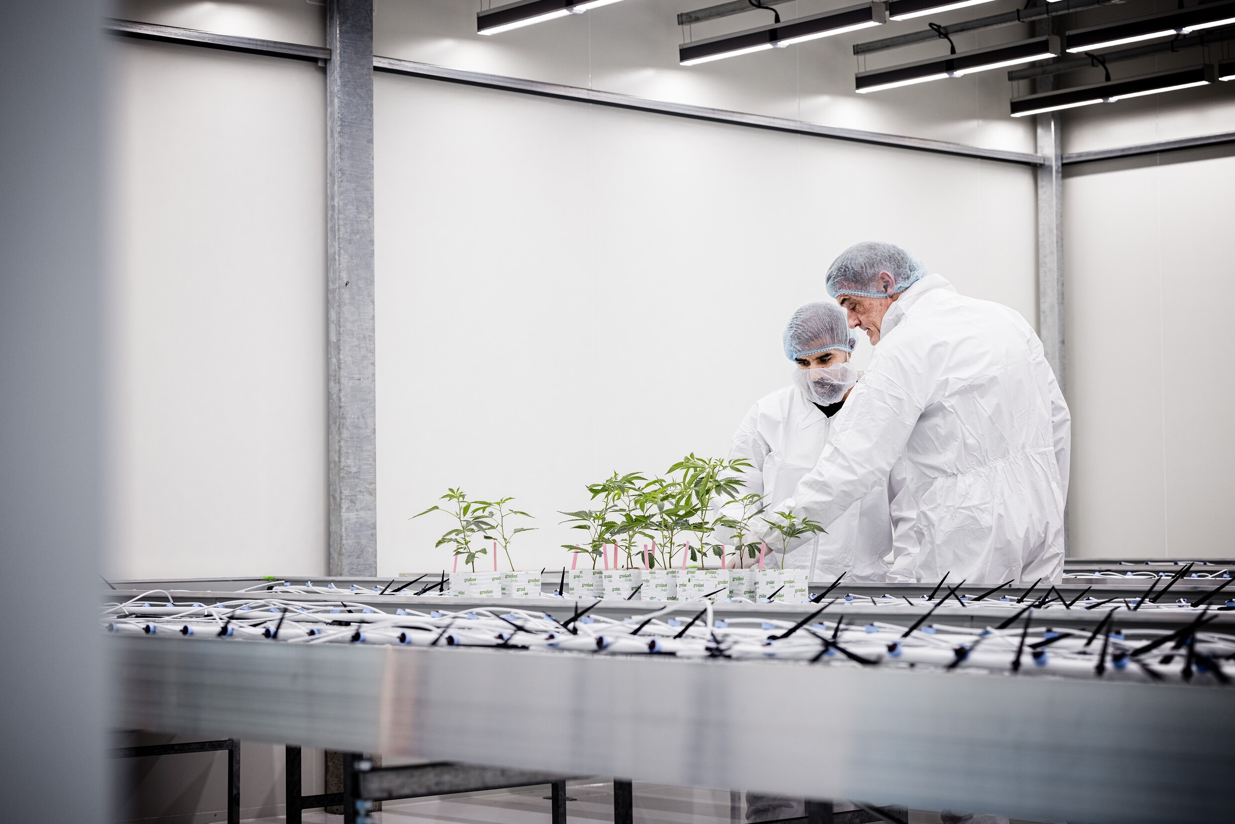 Opinie: ‘Dromen over de legalisering van drugs kunnen waargemaakt ...