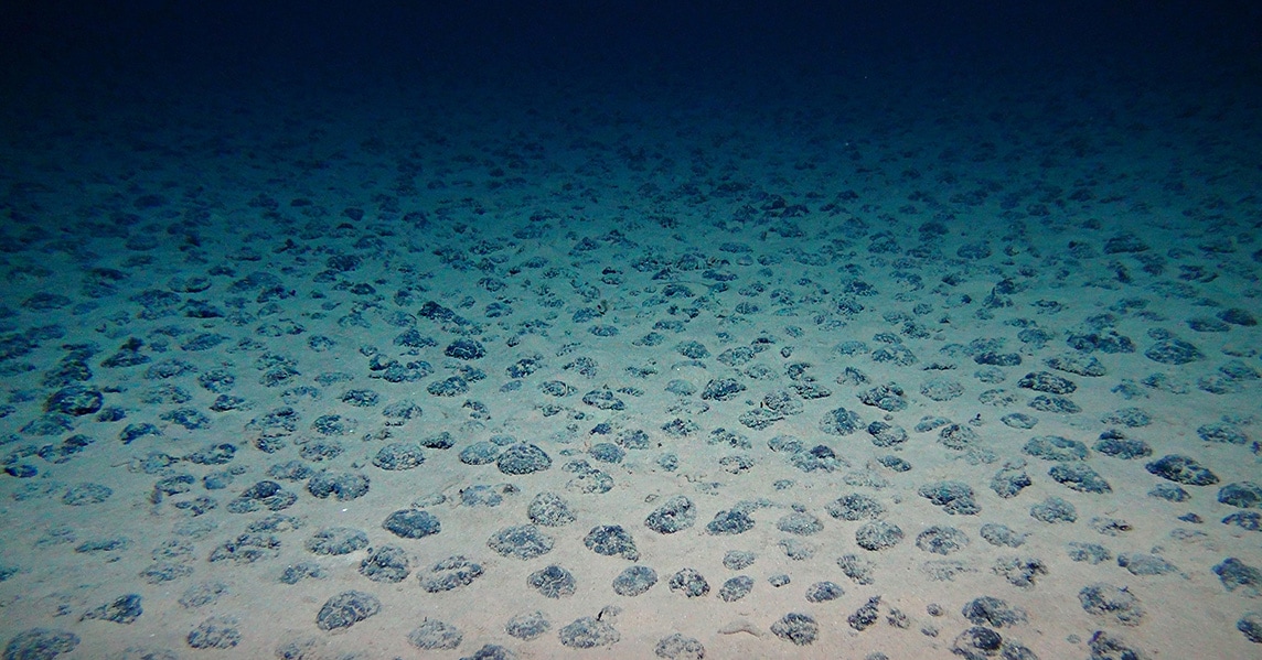 Edelmetalen uit de zeebodem: verstandig of risico voor natuur? Vijf ...