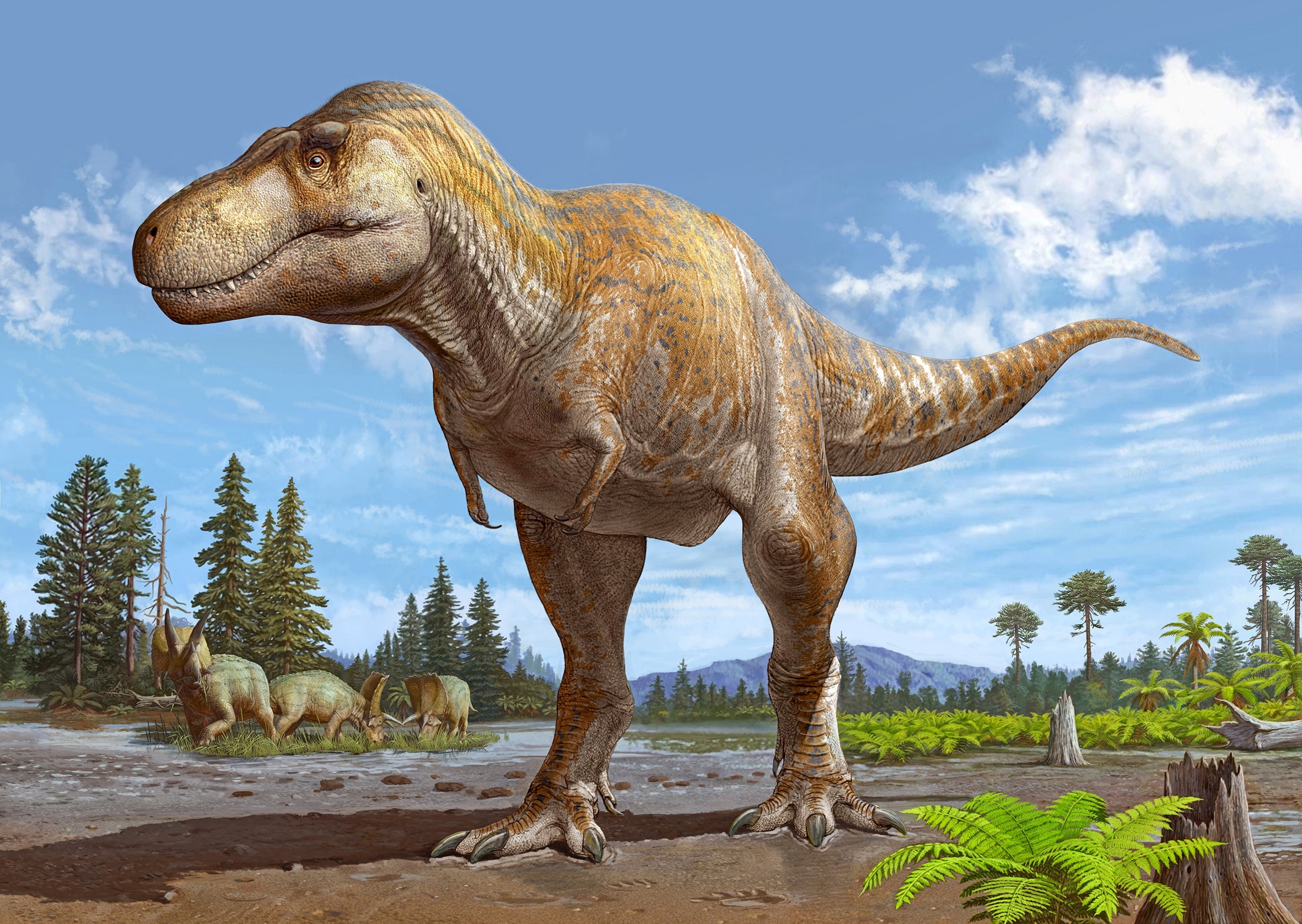 Nóg grotere dino dan de T. rex ontdekt: ‘Dit was de meest ... Nóg grotere dino dan de T. rex ontdekt: ‘Dit was de meest ...