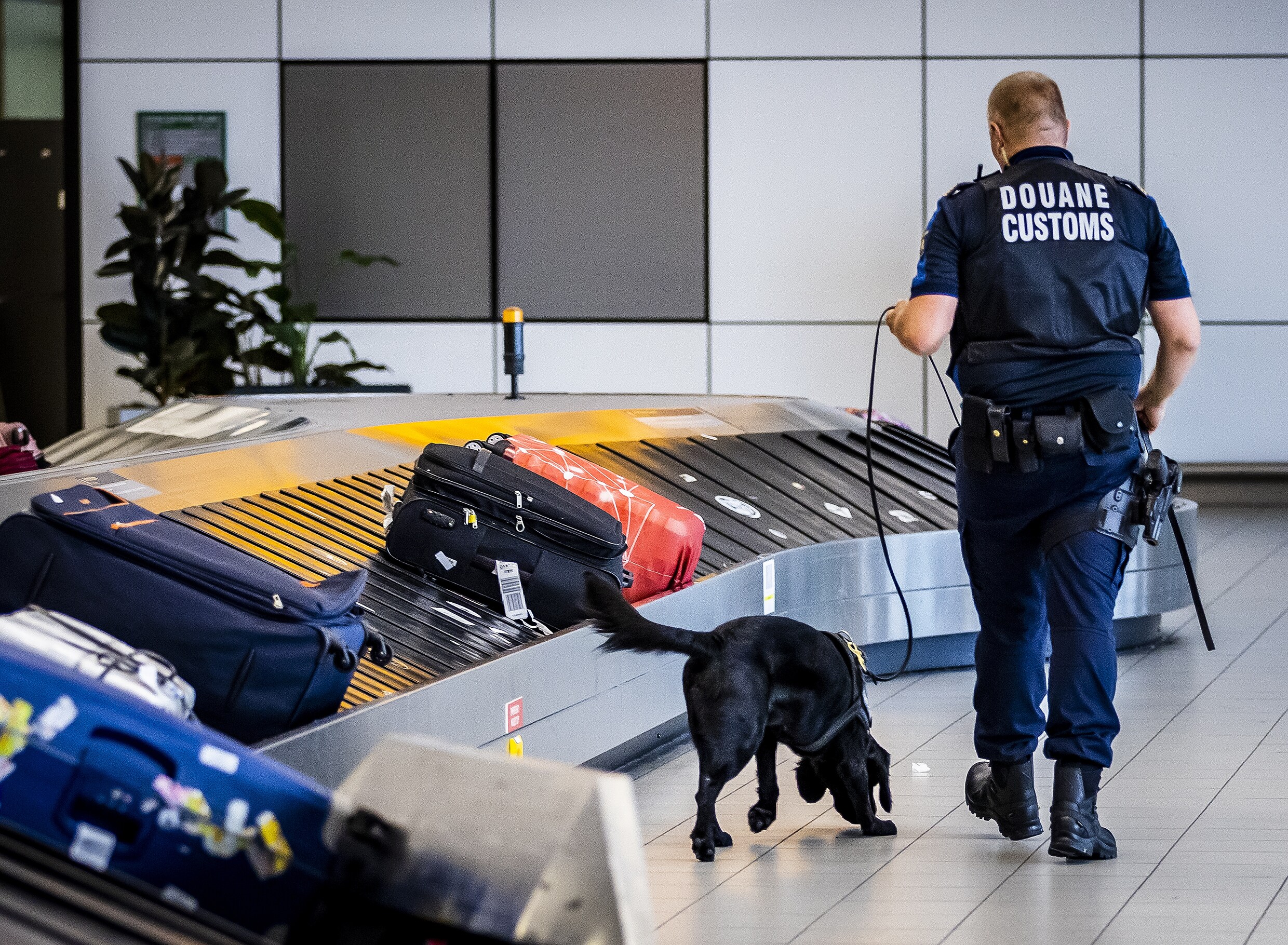 De jacht op cokesmokkel op Schiphol: ‘We troffen een cateringtrolley op ...
