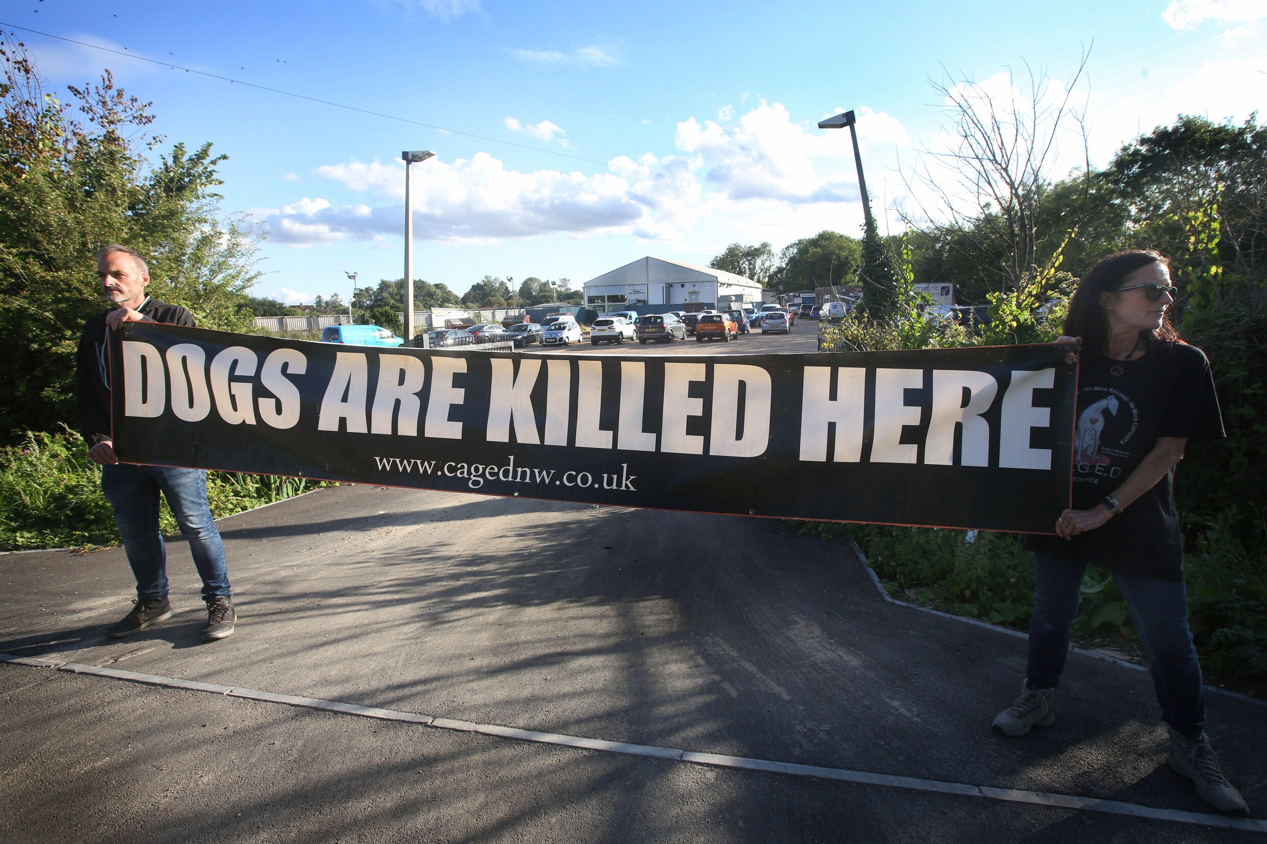 Engelse dierenlobby boekt meer en meer succes in de strijd tegen ...