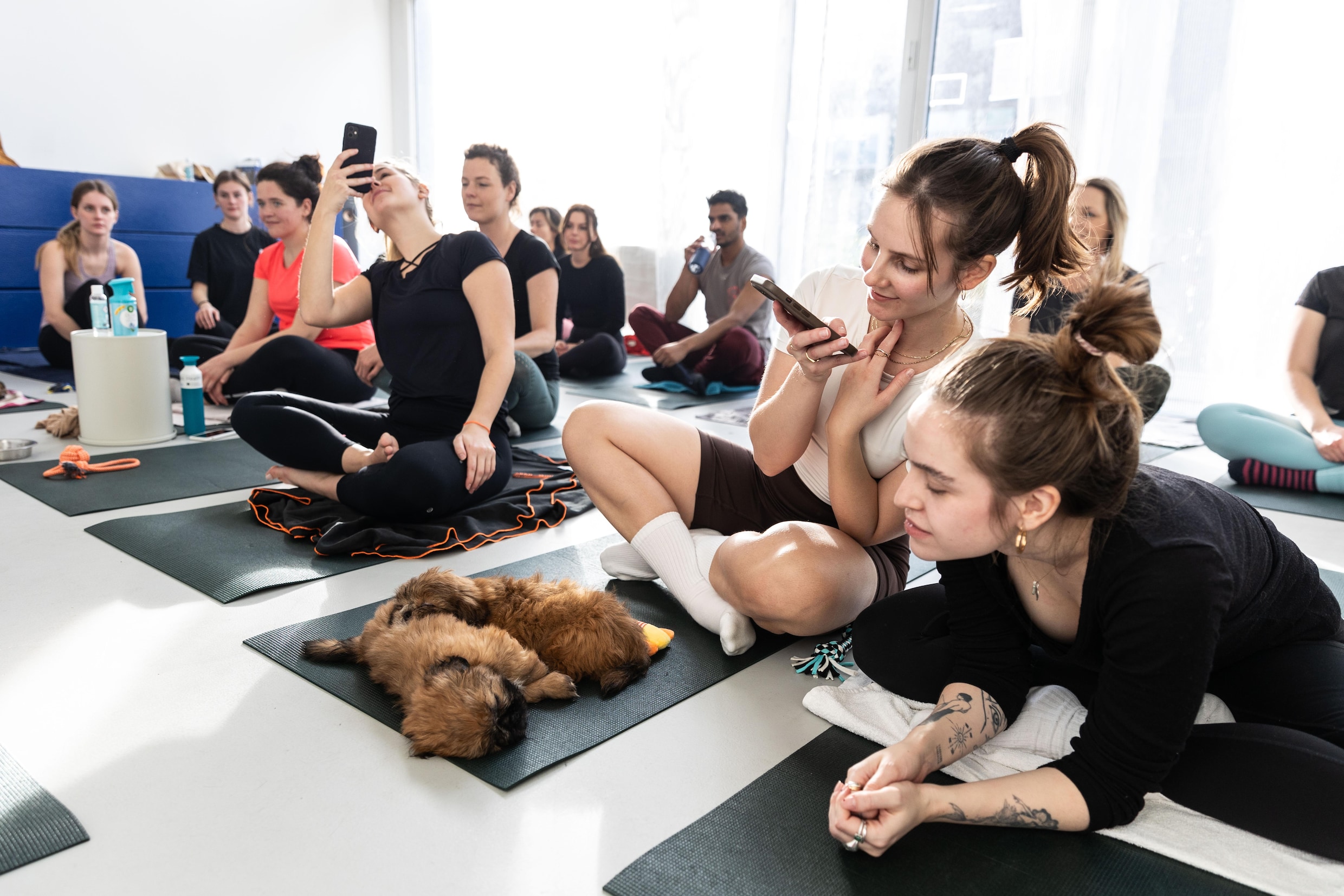 Puppy yoga in opspraak: ‘Ze moeten geforceerd knuffelen’ | Het Parool