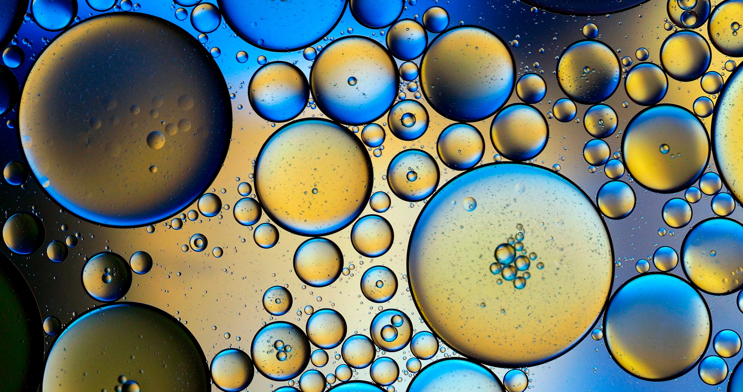 Chemicus Sijbren Otto wil in het lab leven maken uit dode chemische ...