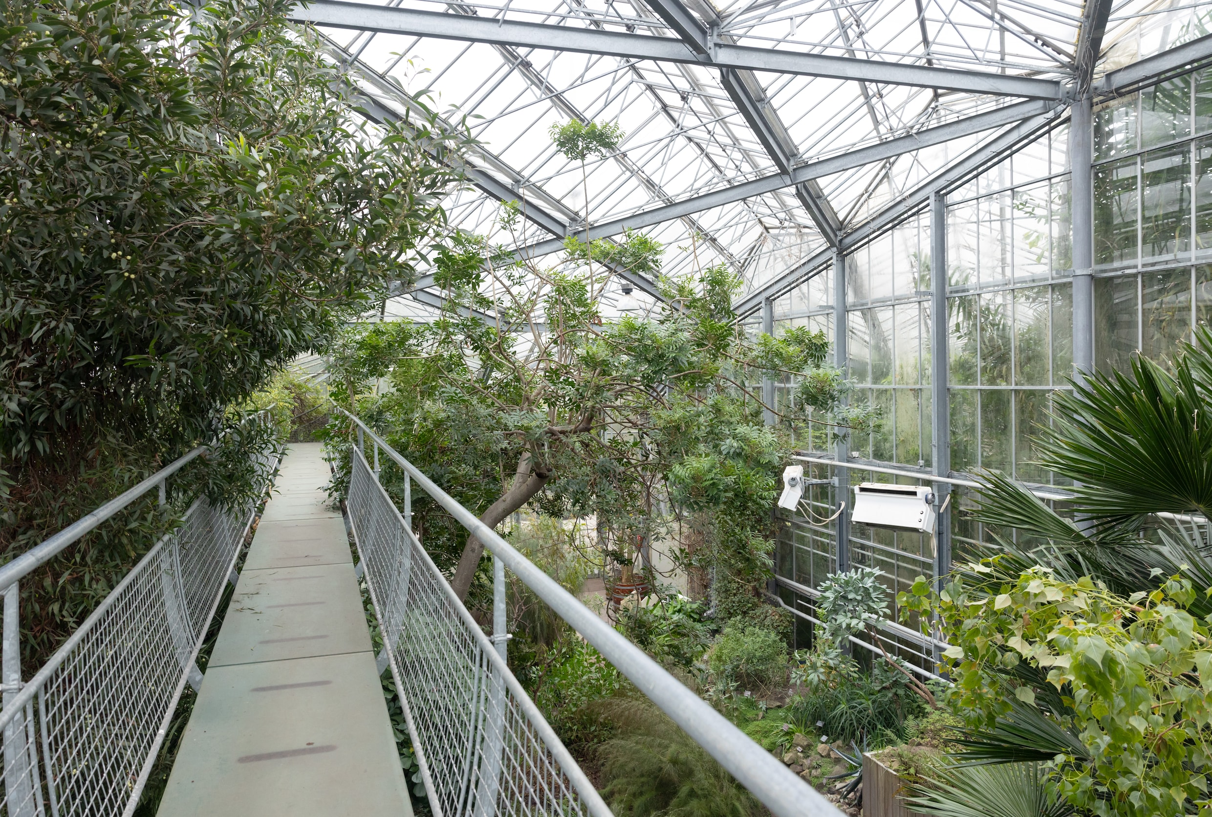 De Hortus vraagt Amsterdammers om oude tuintegels voor een gigantische ...