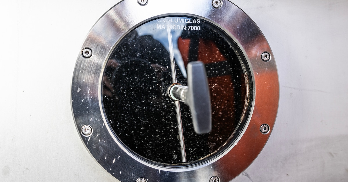 Vissen lijden onder onze pijnstillers – waterschap zeeft medicijnresten ...