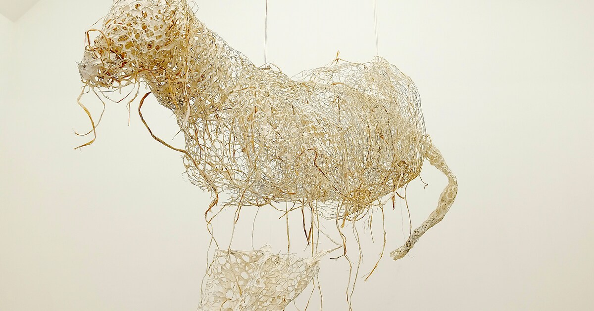 Drie kunstenaars exposeren in Gallery van Fanny Freytag: ‘Je kunt er ...