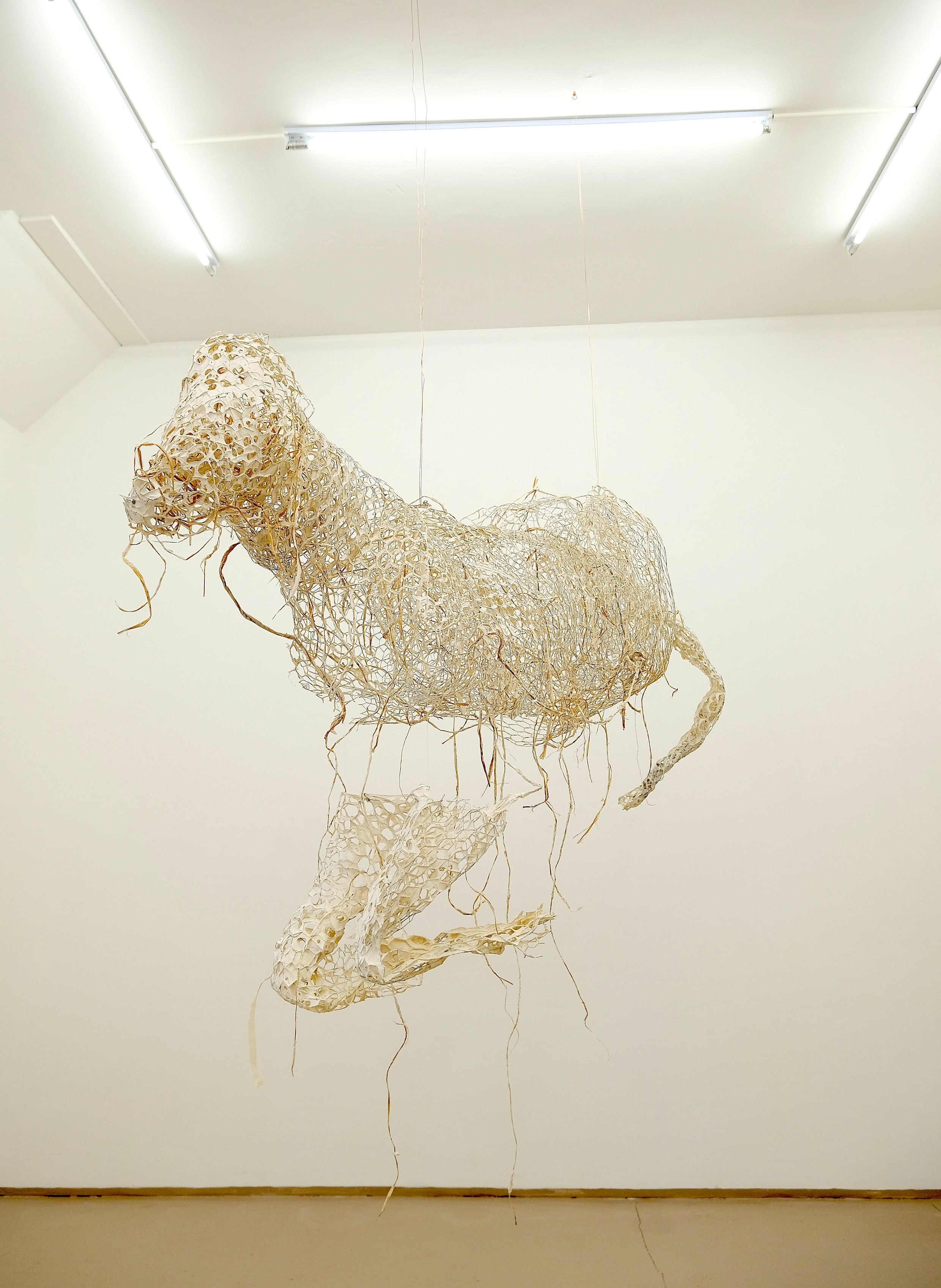 Drie kunstenaars exposeren in Gallery van Fanny Freytag: ‘Je kunt er ...