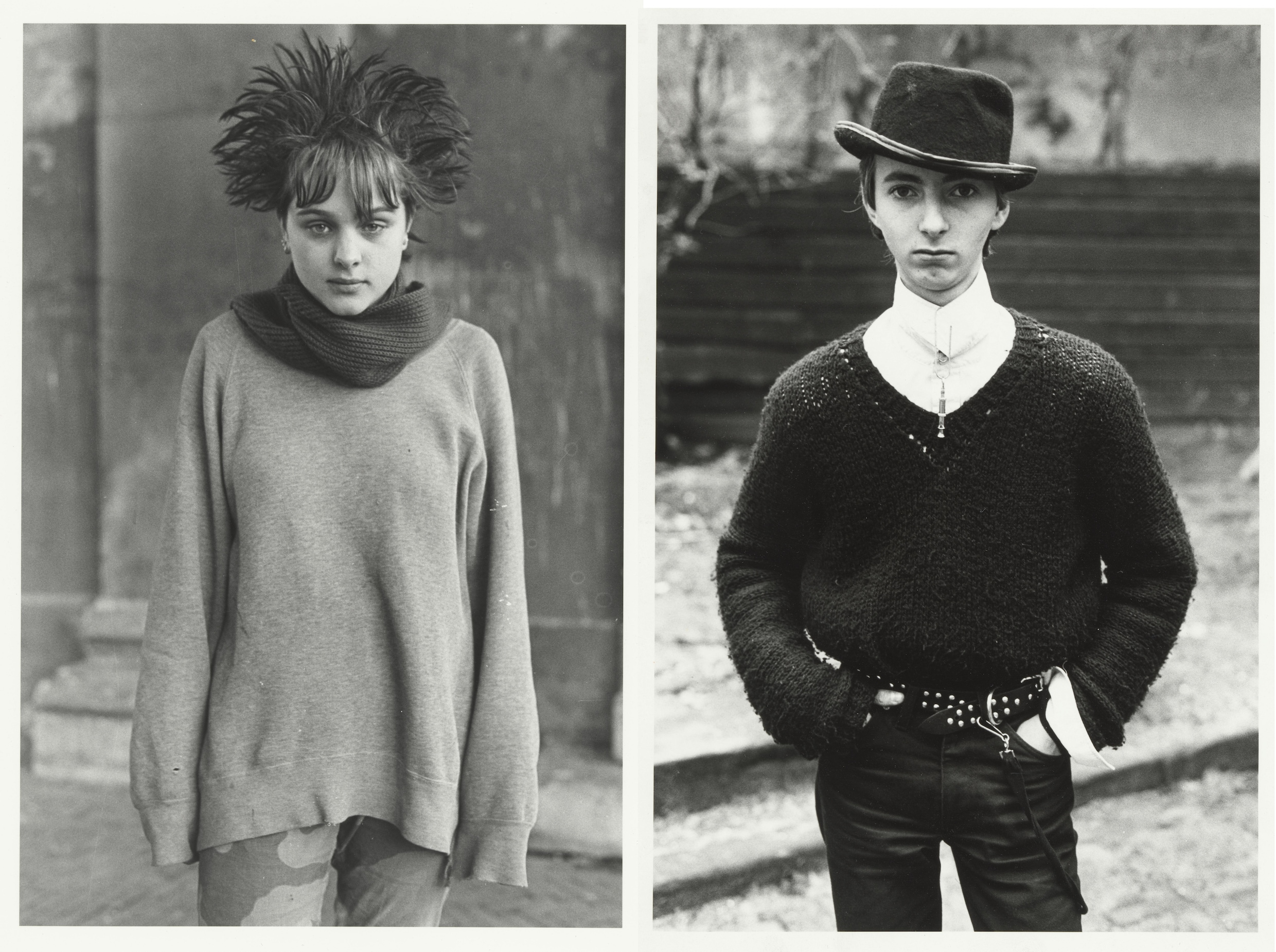 Waar is de hanenkam gebleven? Unieke foto’s van nachtvlinders en ...