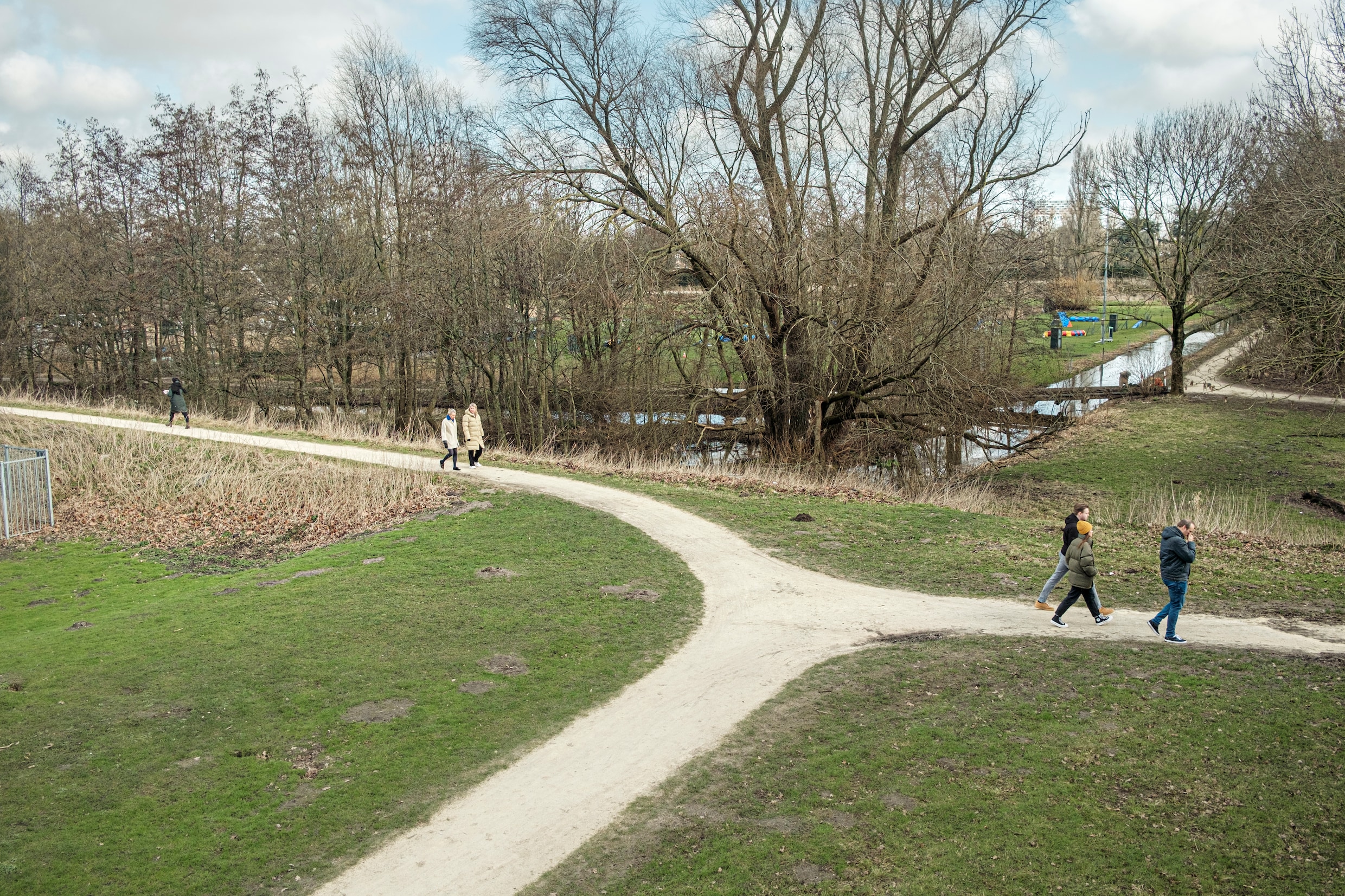 Creatief met groen: Amsterdam telt bermen en nu al openbare stroken mee ...