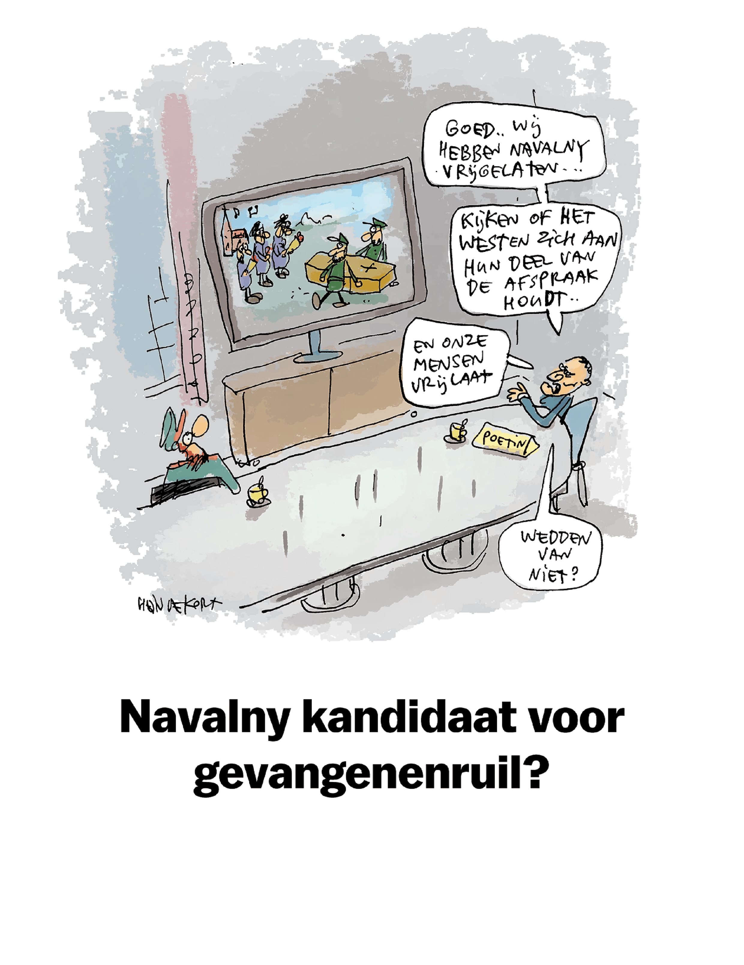 Bekijk hier alle cartoons van Hein de Kort | Het Parool