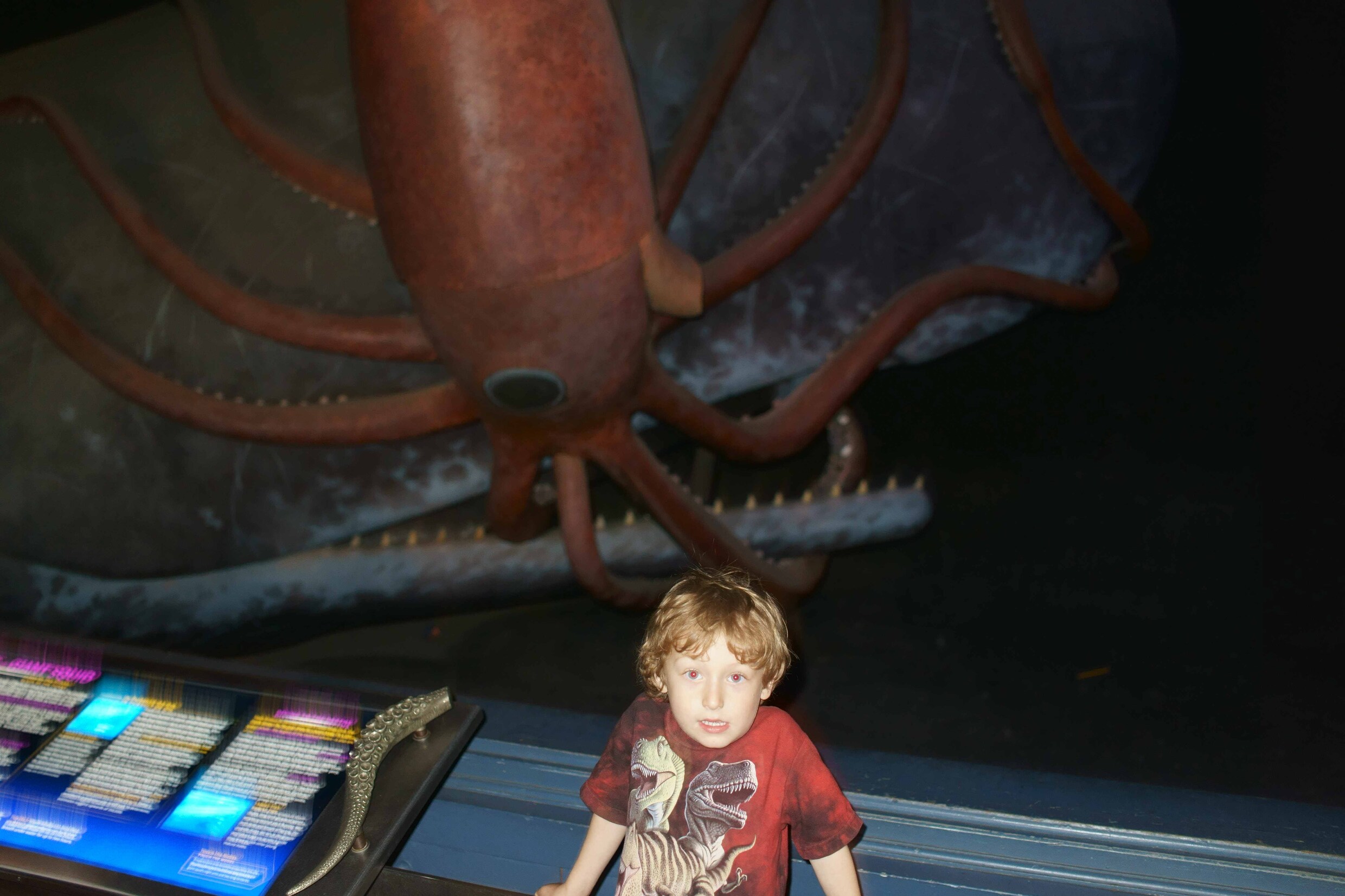 Deense galeries timmeren aan de weg op KunstRAI: ‘Nederlanders zijn ...