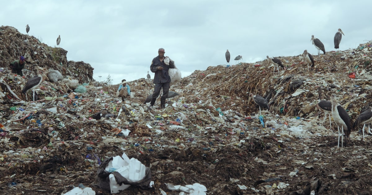 Festival Cinedans in Eye belicht de postkoloniale pijn op een Afrikaanse vuilnisbelt: ‘Dansen ...