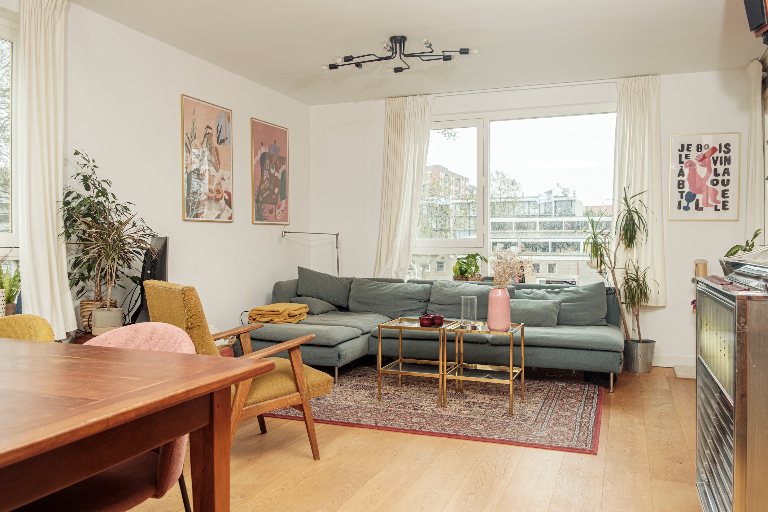 Amari past fulltime op huisdieren: ‘Zo kost wonen in Amsterdam me ...