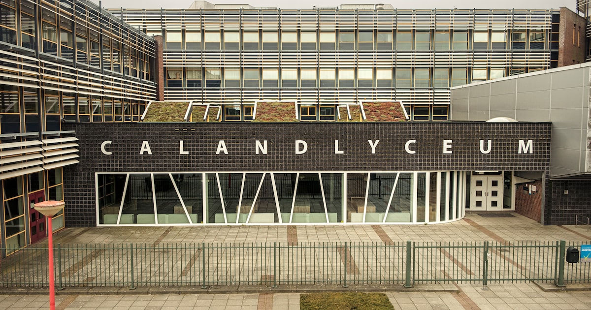 Een grillige directeur, onveilige werksfeer en slechte resultaten ...