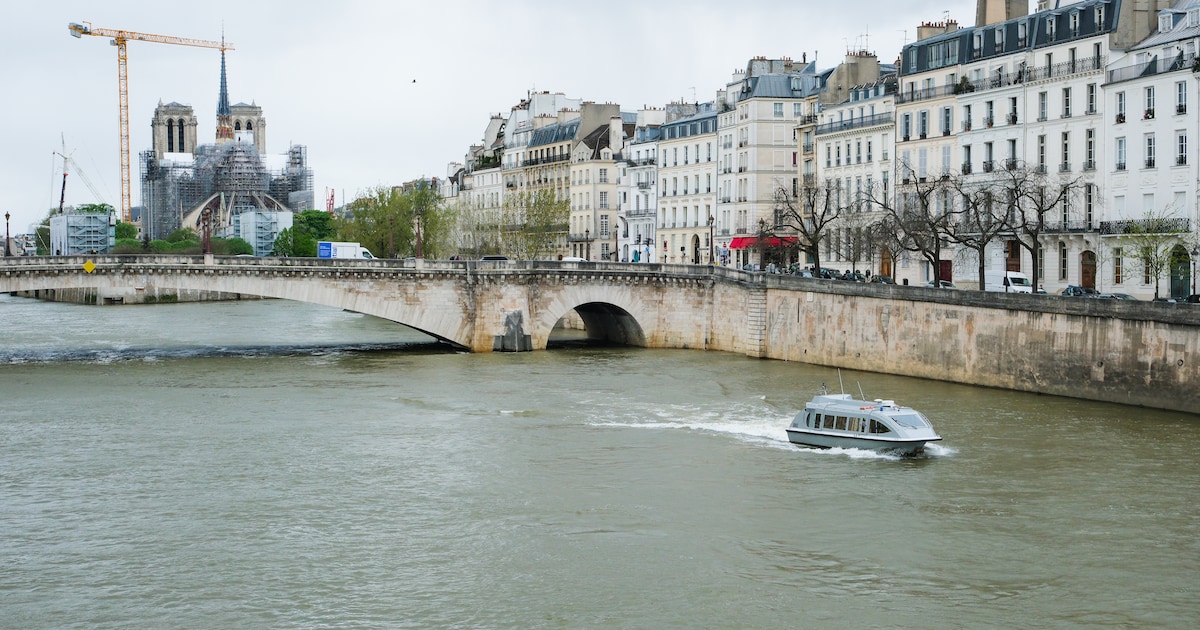 De Notre-Dame is bijna klaar: 1000 werklieden, 1000 gekapte eiken en 700 miljoen euro verder ...
