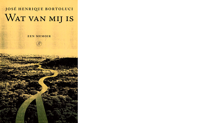 Recensie: Duizenden en duizenden kilometers legt Didi af, terwijl ...