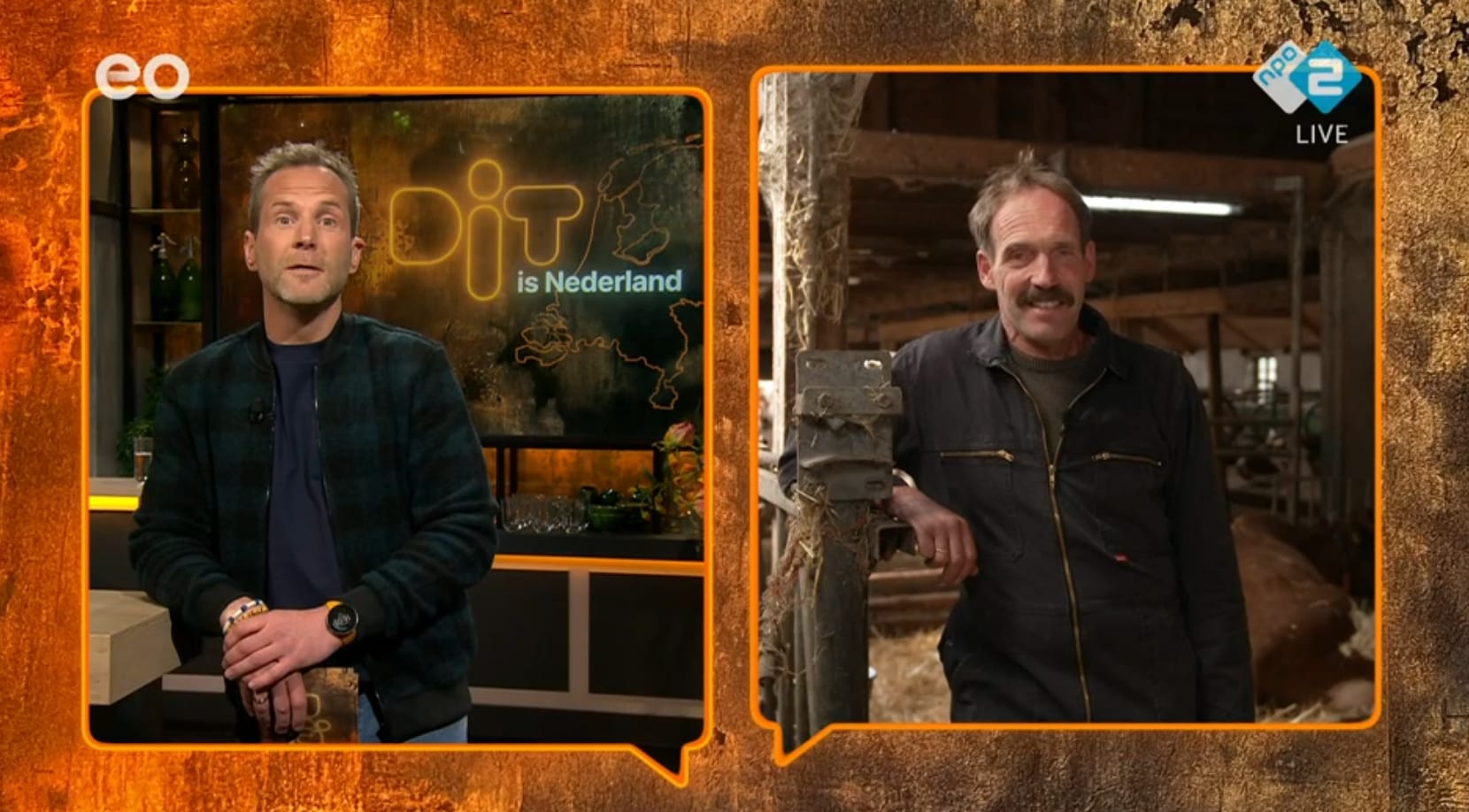 ‘Terug naar het pasgeboren kalfje’: Dit is Nederland blijkt een ...