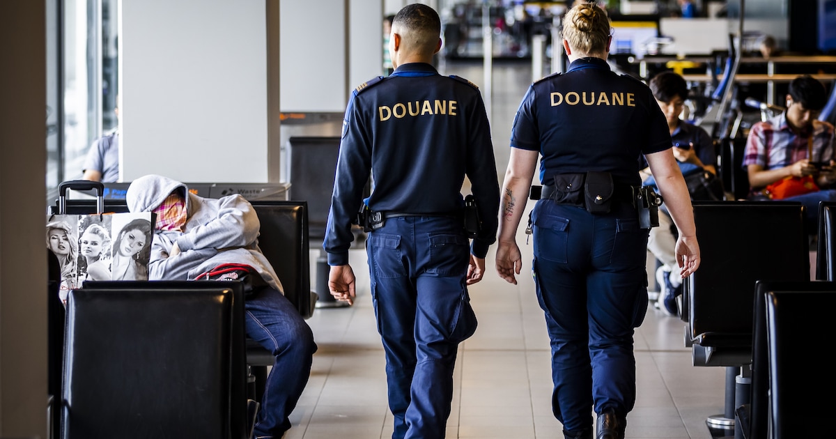 Douane op Schiphol onderschept 700 kilo qat ter waarde van zo’n 500.000 ...