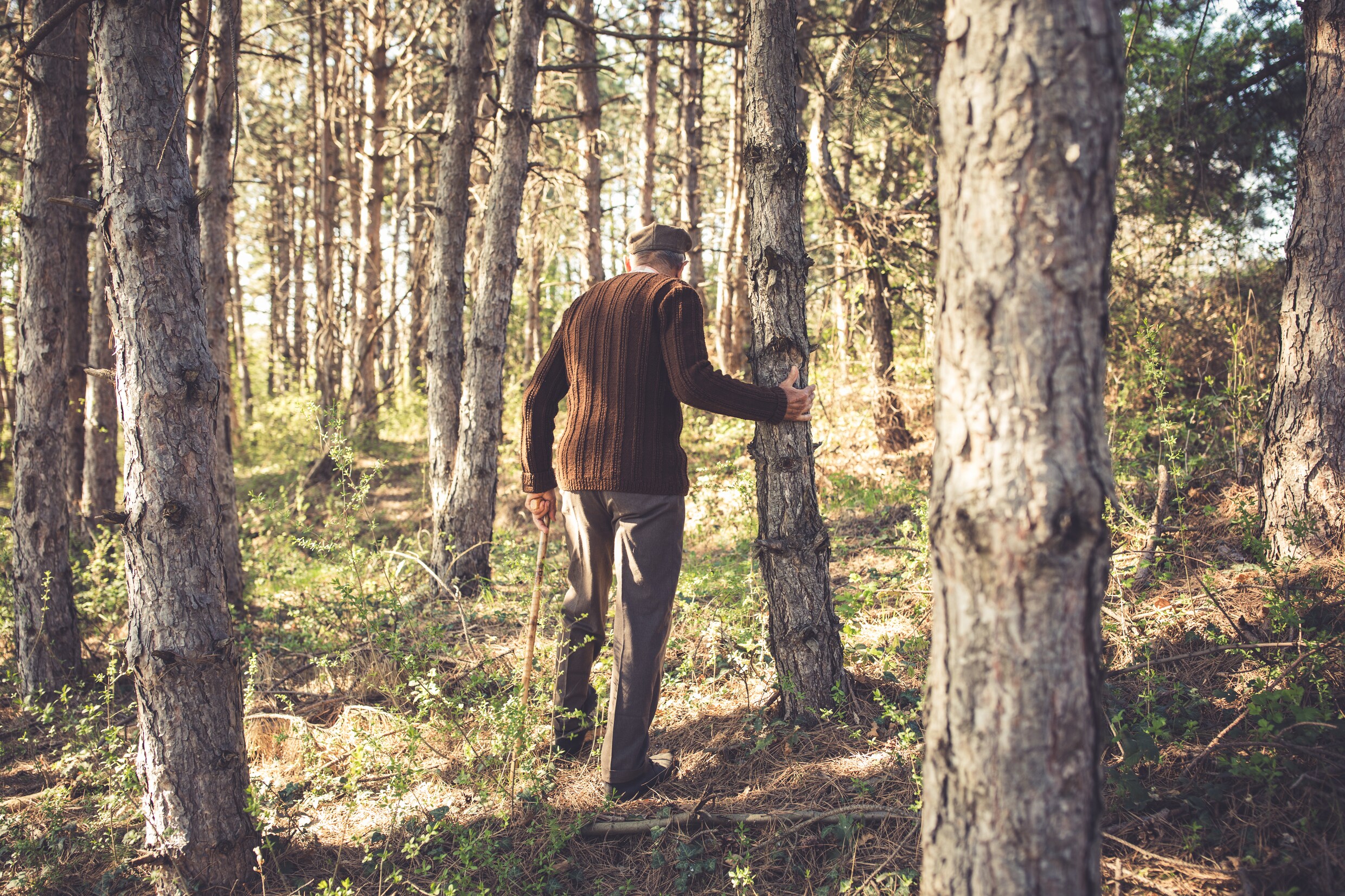 Recensie: Koos van Zomeren speelt in het vervolg op zijn vorige boek ...