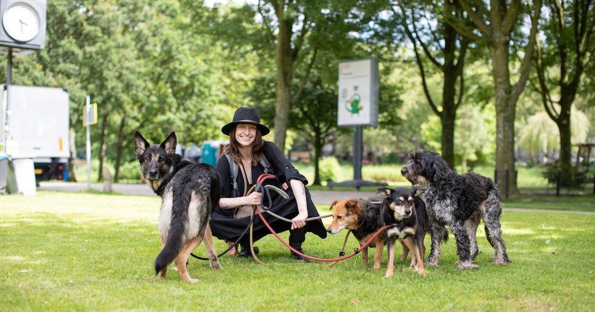 ‘Ik was nog maar twintig en opeens zat ik in de ziektewet’ | Het Parool