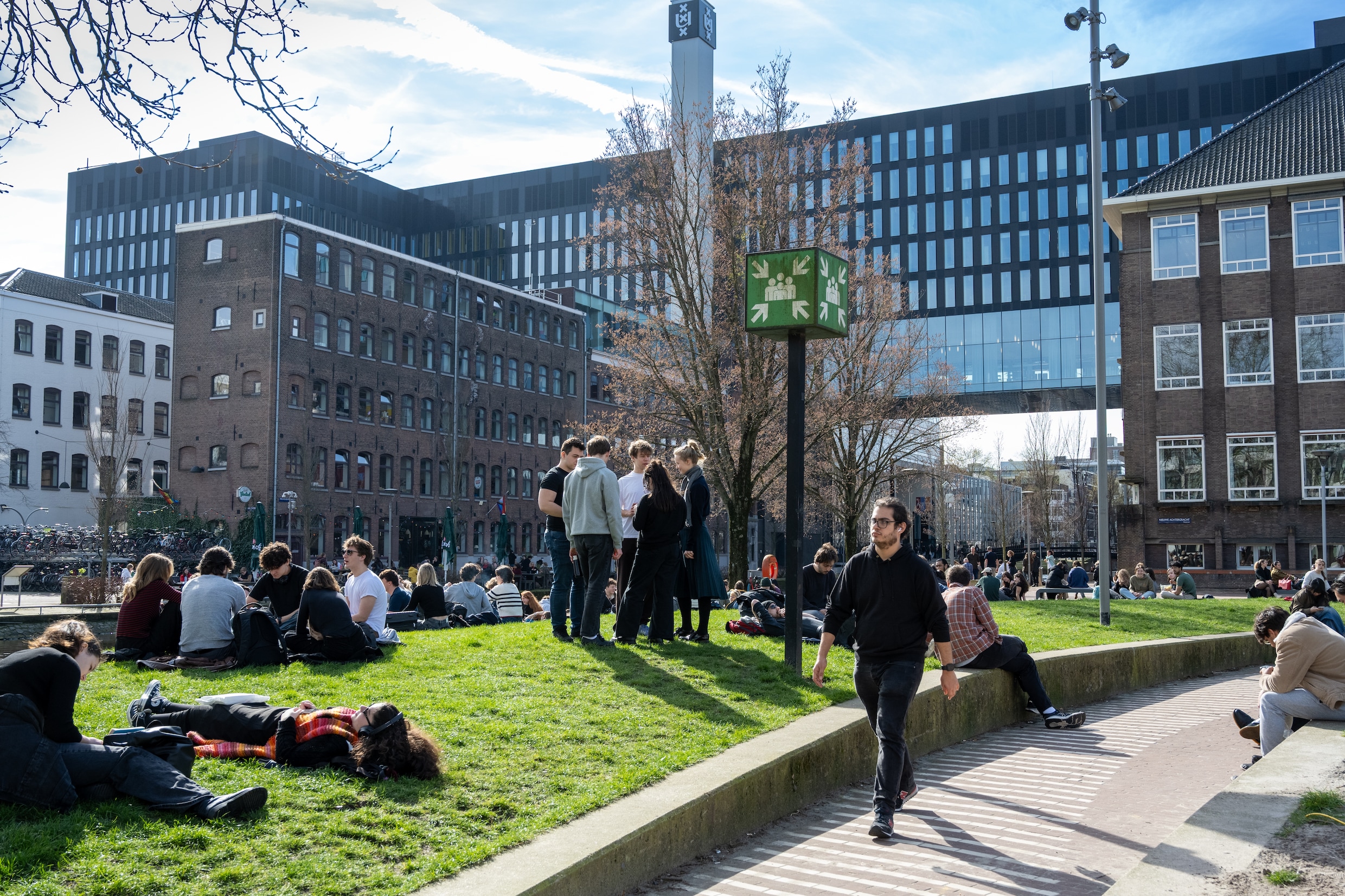 Live: formatie kabinet 2024 | Kabinet-Schoof beëdigd door koning Willem ...
