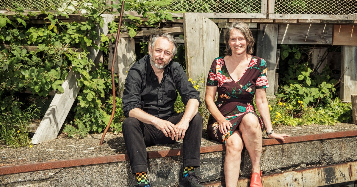 Bij De Ceuvel maken zwemmers plaats voor bijen: ‘We gaan wel een groot ...