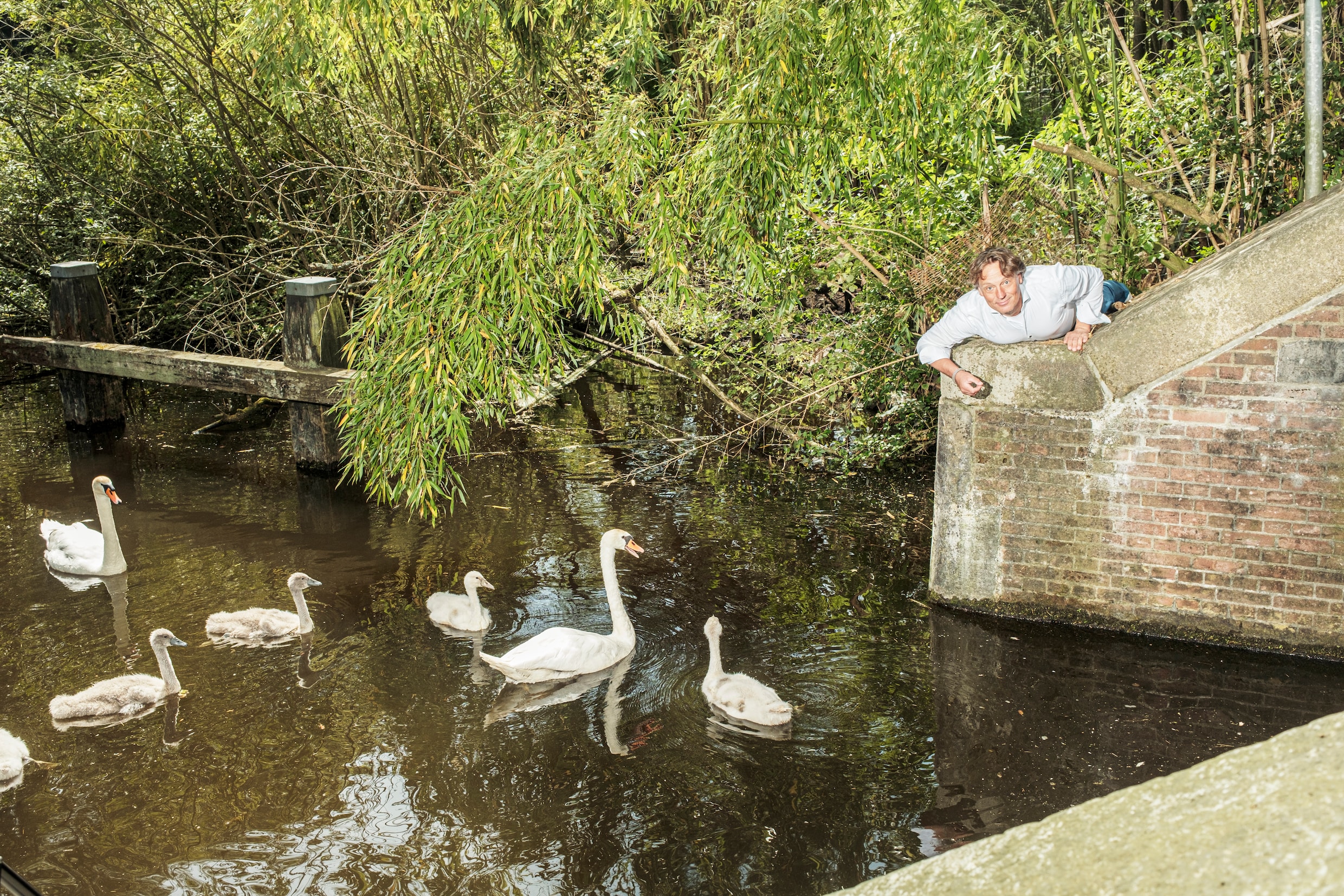 Deze Amersfoortse wethouder zet zich onvermoeibaar in om dieren ook in ...