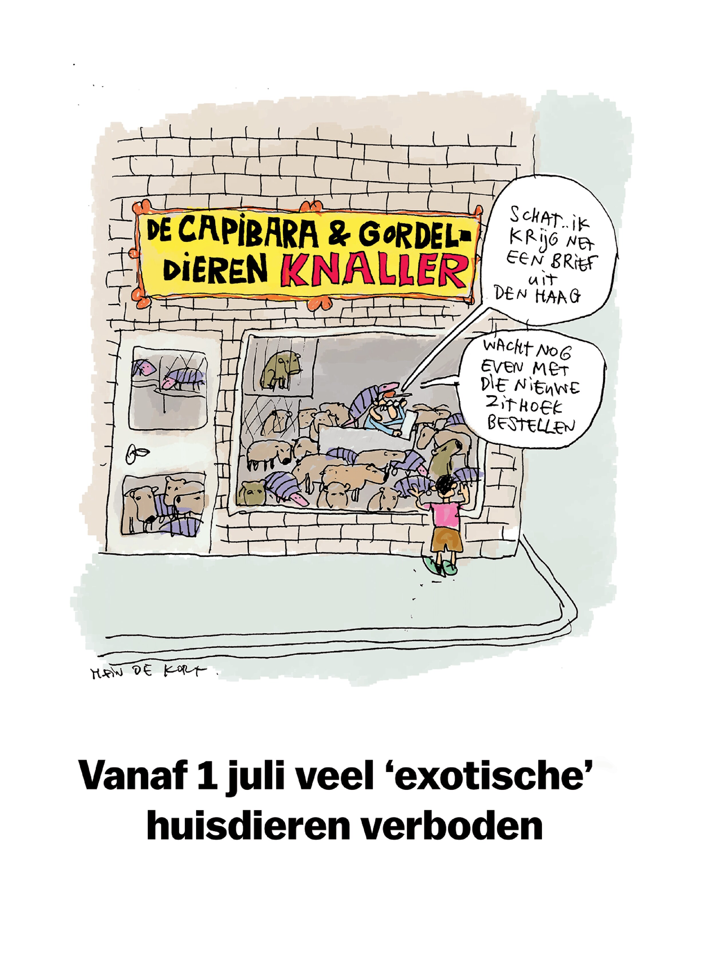 Bekijk hier alle cartoons van Hein de Kort | Het Parool