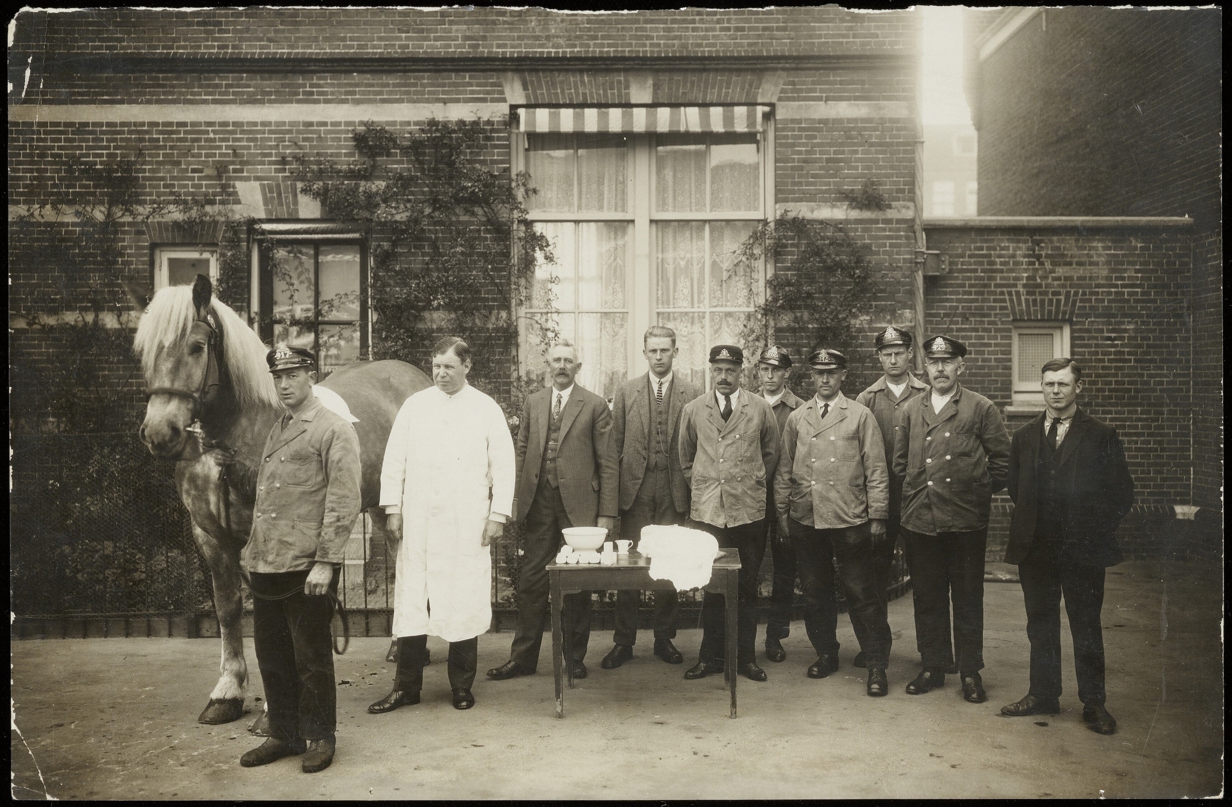 Van honden tot giraffes: deze ‘ijzeren’ Amsterdamse dierenarts zorgde ...