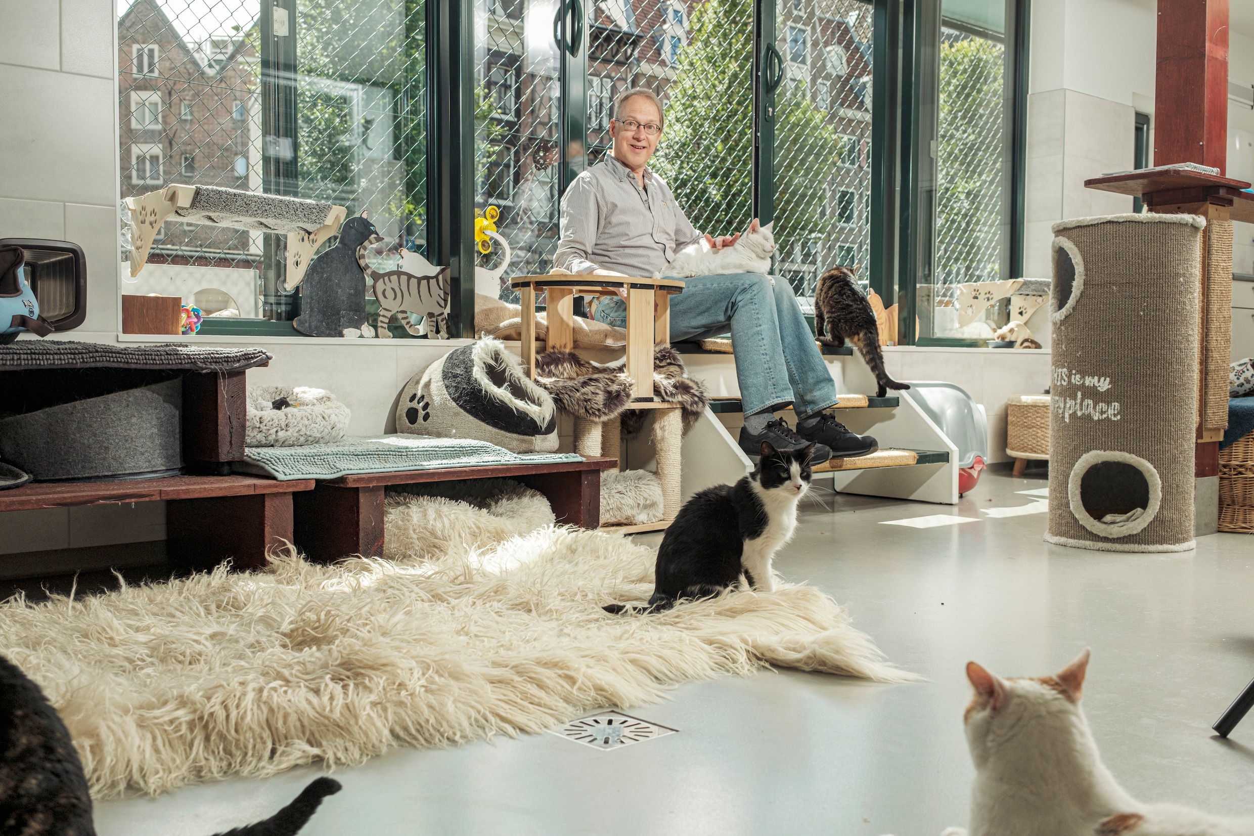 Kunnen we straks met onze kat of hond praten? ‘Het komt eraan en het ...