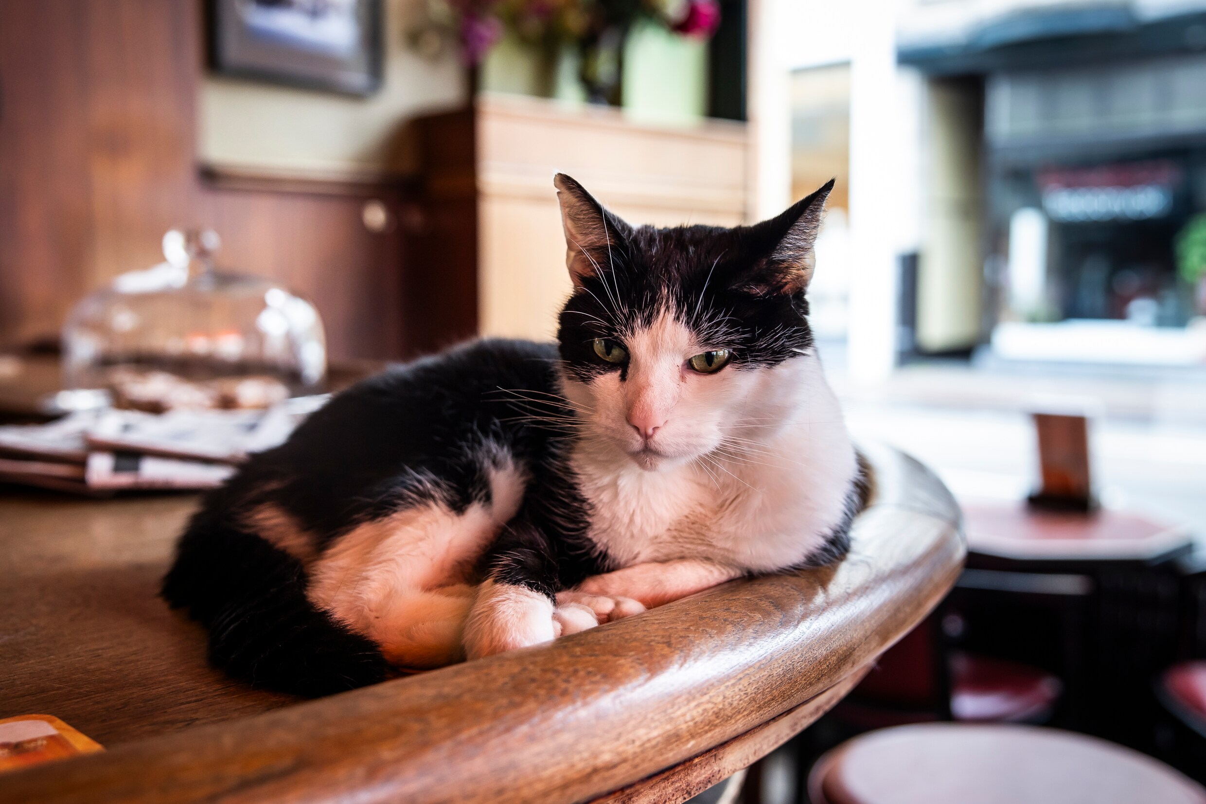 Altijd bal: café Krom viert z’n 101.000ste Indische balletje. ‘We ...