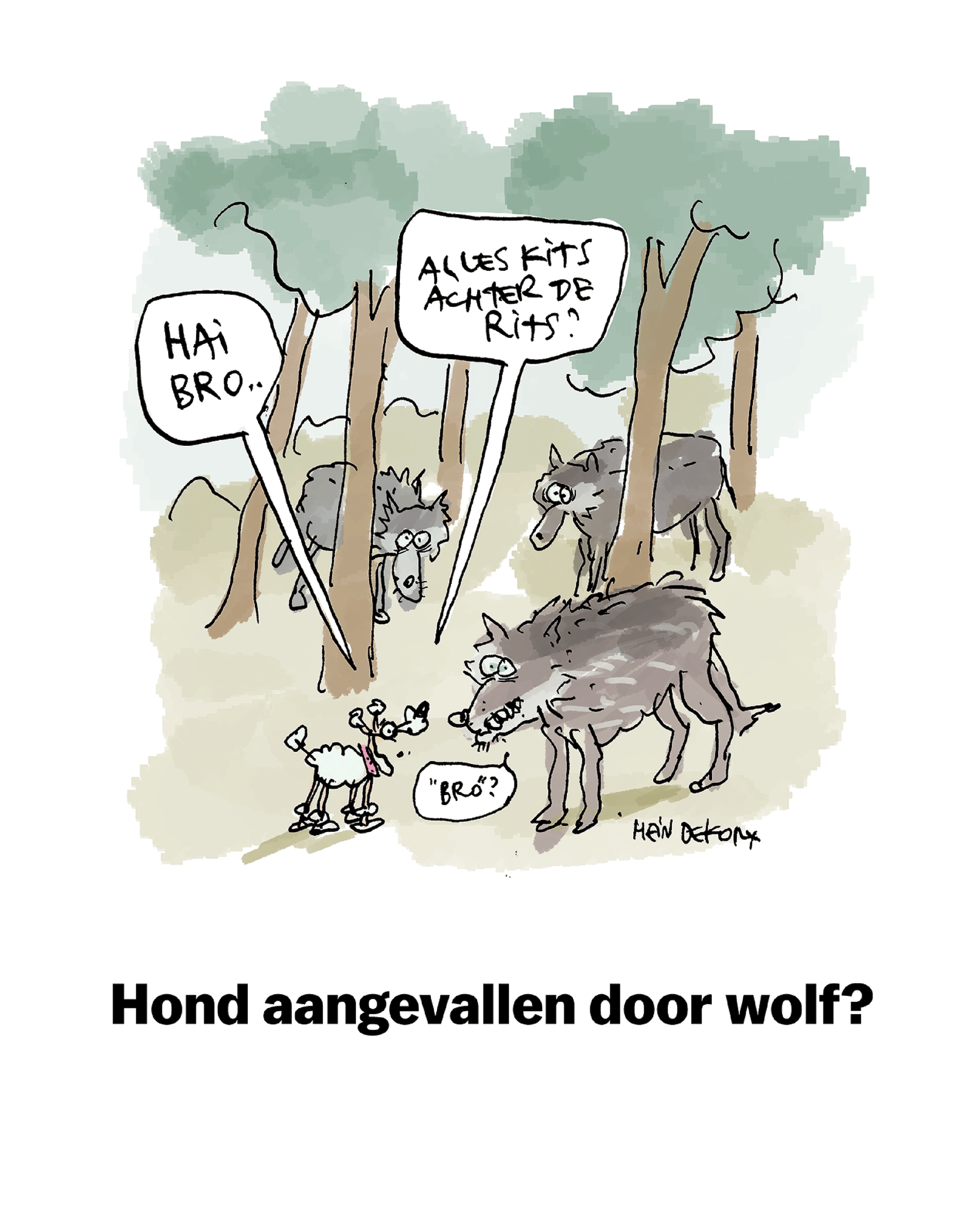 Bekijk hier alle cartoons van Hein de Kort | Het Parool